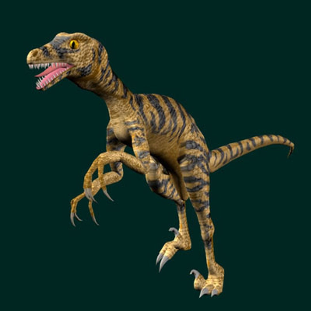 3d Velociraptor Raptor Model