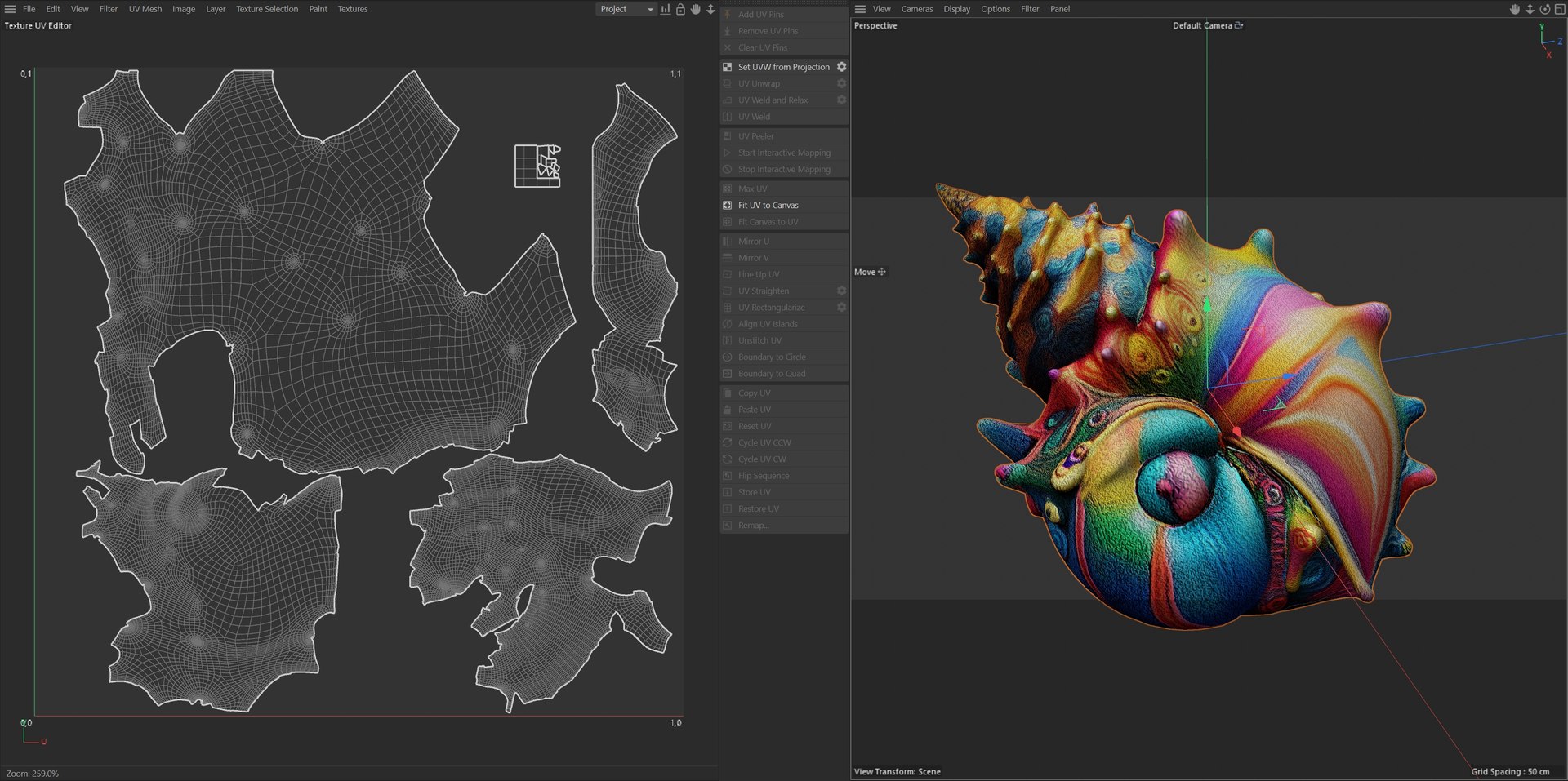 3D Conch Shell Collection - TurboSquid 2370948