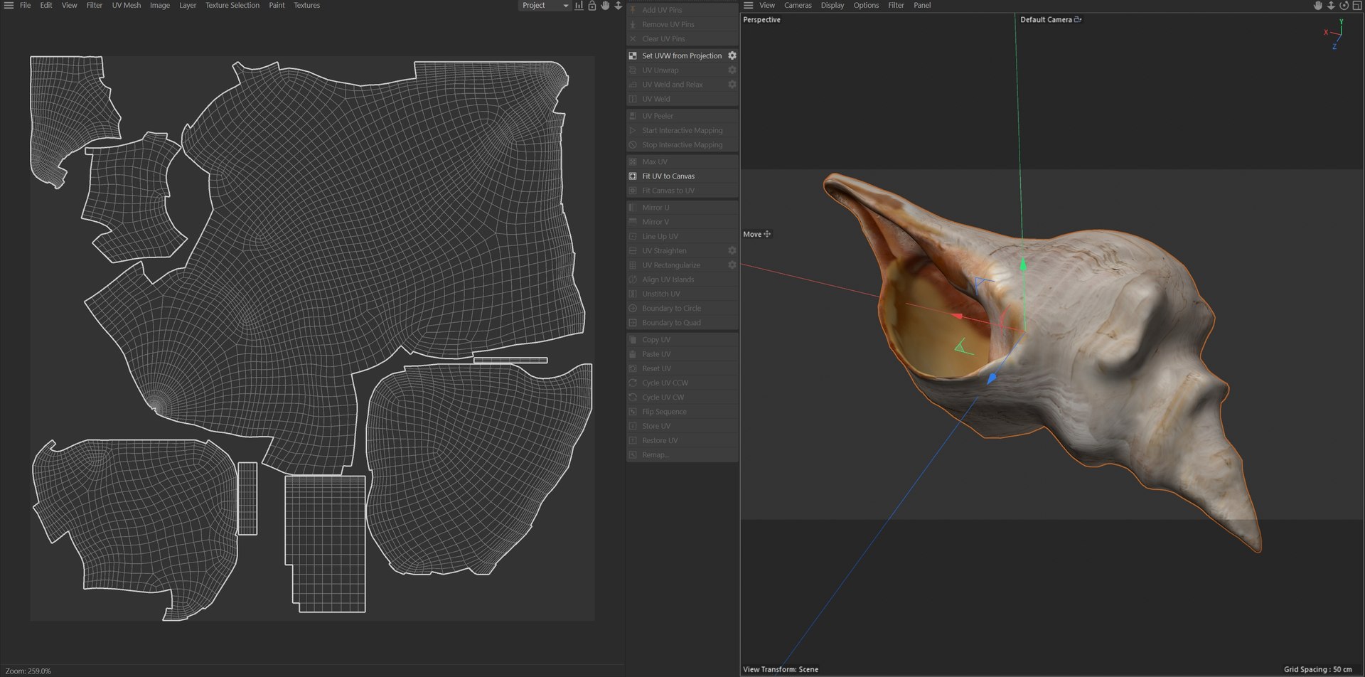 3D Conch Shell Collection - TurboSquid 2370948