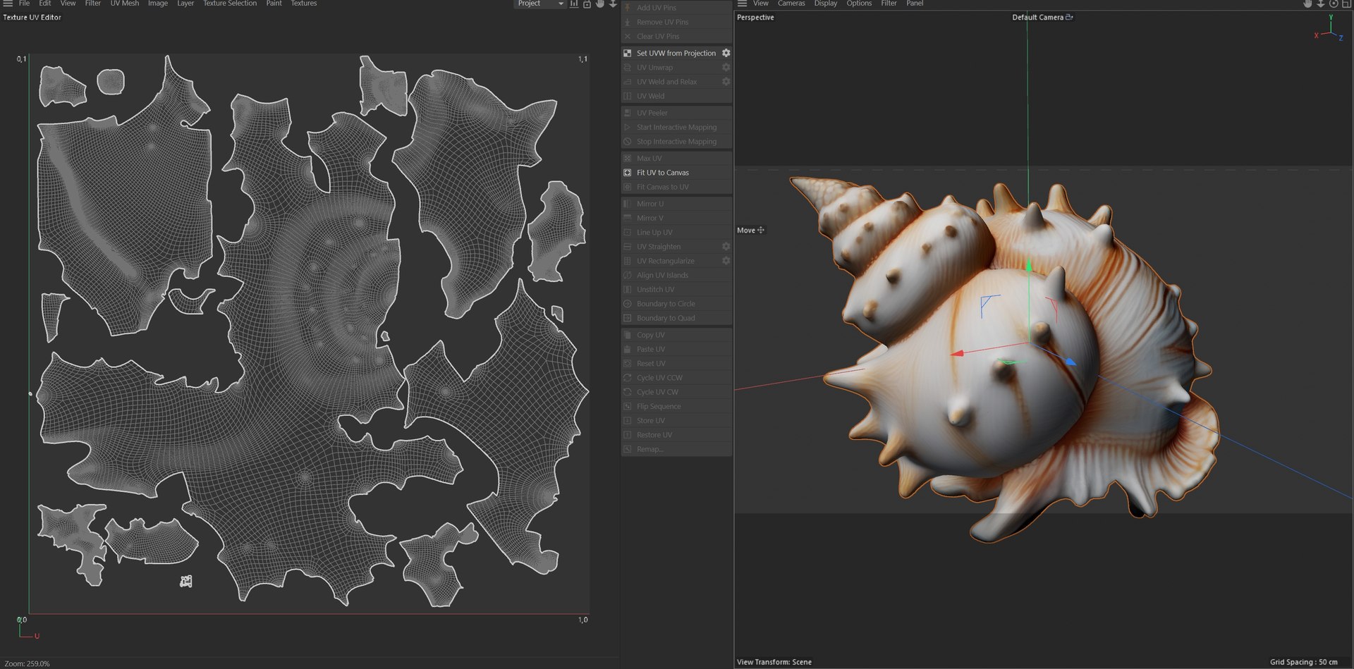 3D Conch Shell Collection - TurboSquid 2370948