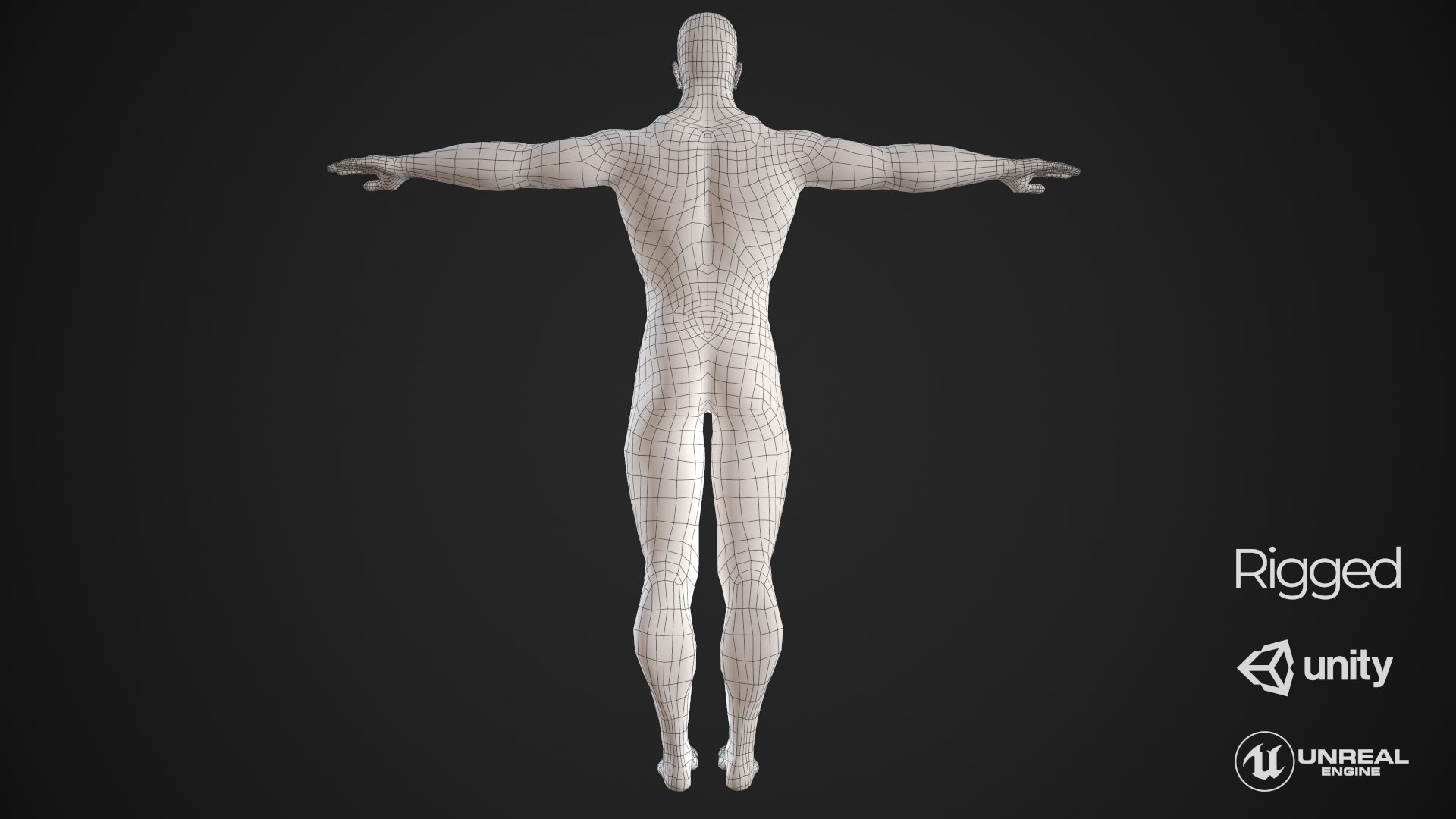 Base mesh basemesh 3D model - TurboSquid 1680892