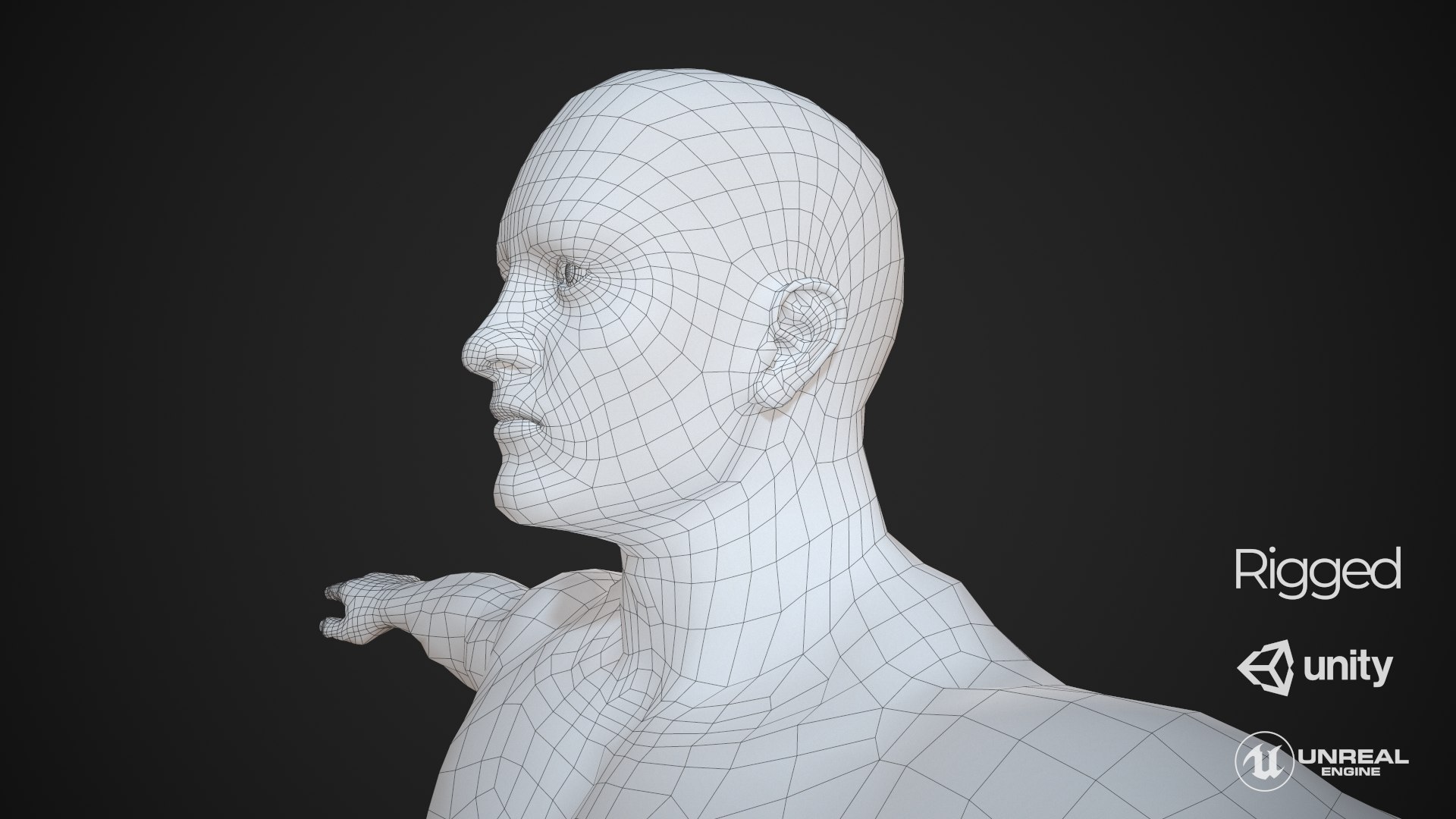 Base Mesh Basemesh 3D Model - TurboSquid 1680892