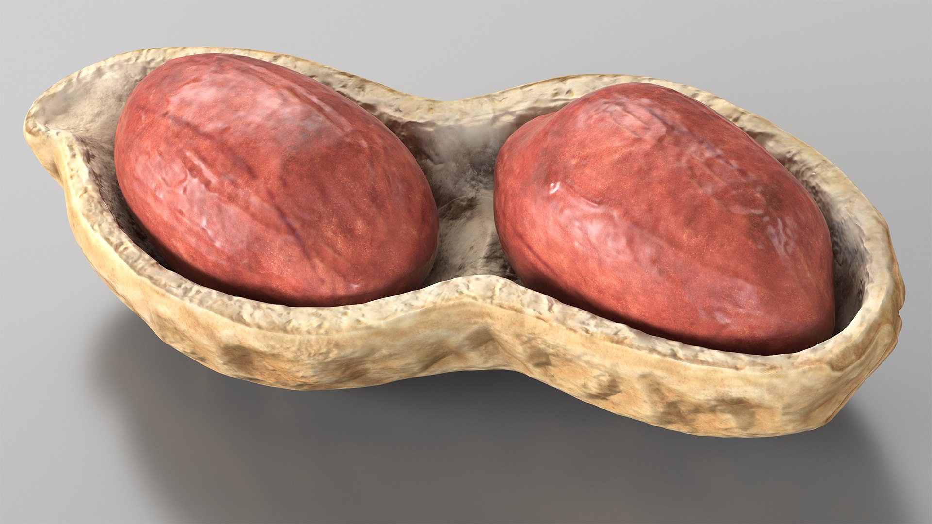 Peeled peanuts shell nut 3D model - TurboSquid 1459700