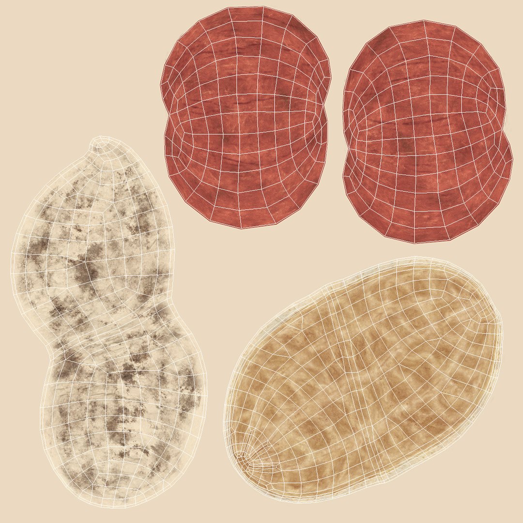 Peeled peanuts shell nut 3D model - TurboSquid 1459700