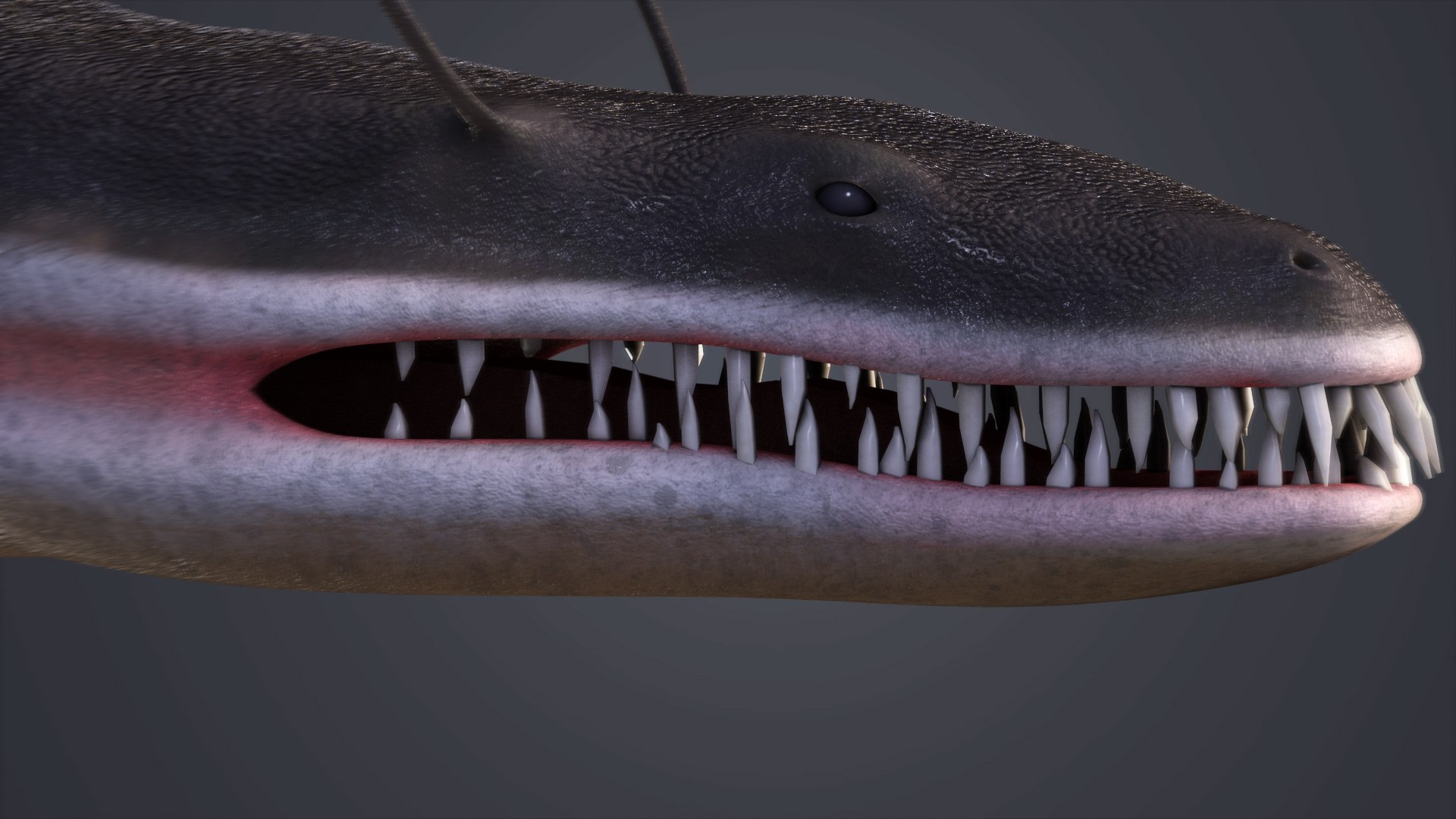 3D Sea Monsters Collection 02 model - TurboSquid 1987355