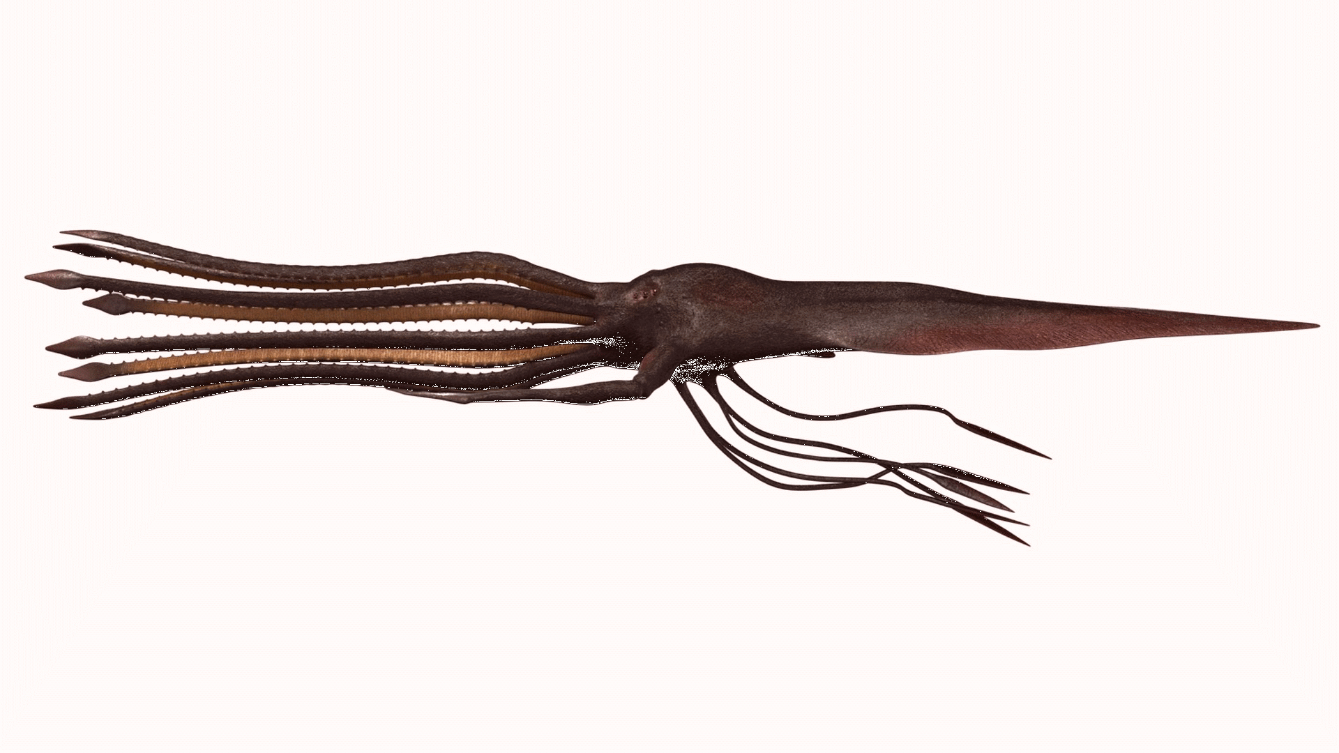 3D Sea Monsters Collection 02 Model - TurboSquid 1987355