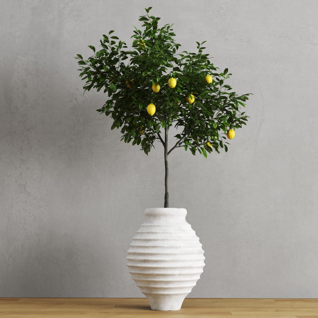 3D Model Lemons Traditional Mediterranean Vases - TurboSquid 1537737