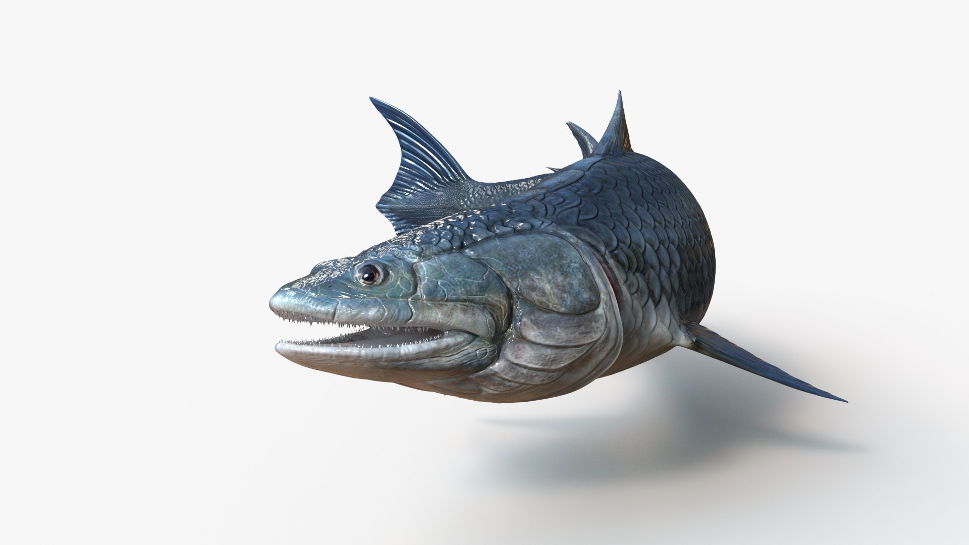 3D model Megamastax - TurboSquid 1730899