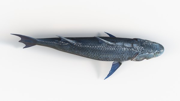 modelo 3d Megamastax - TurboSquid 1730899