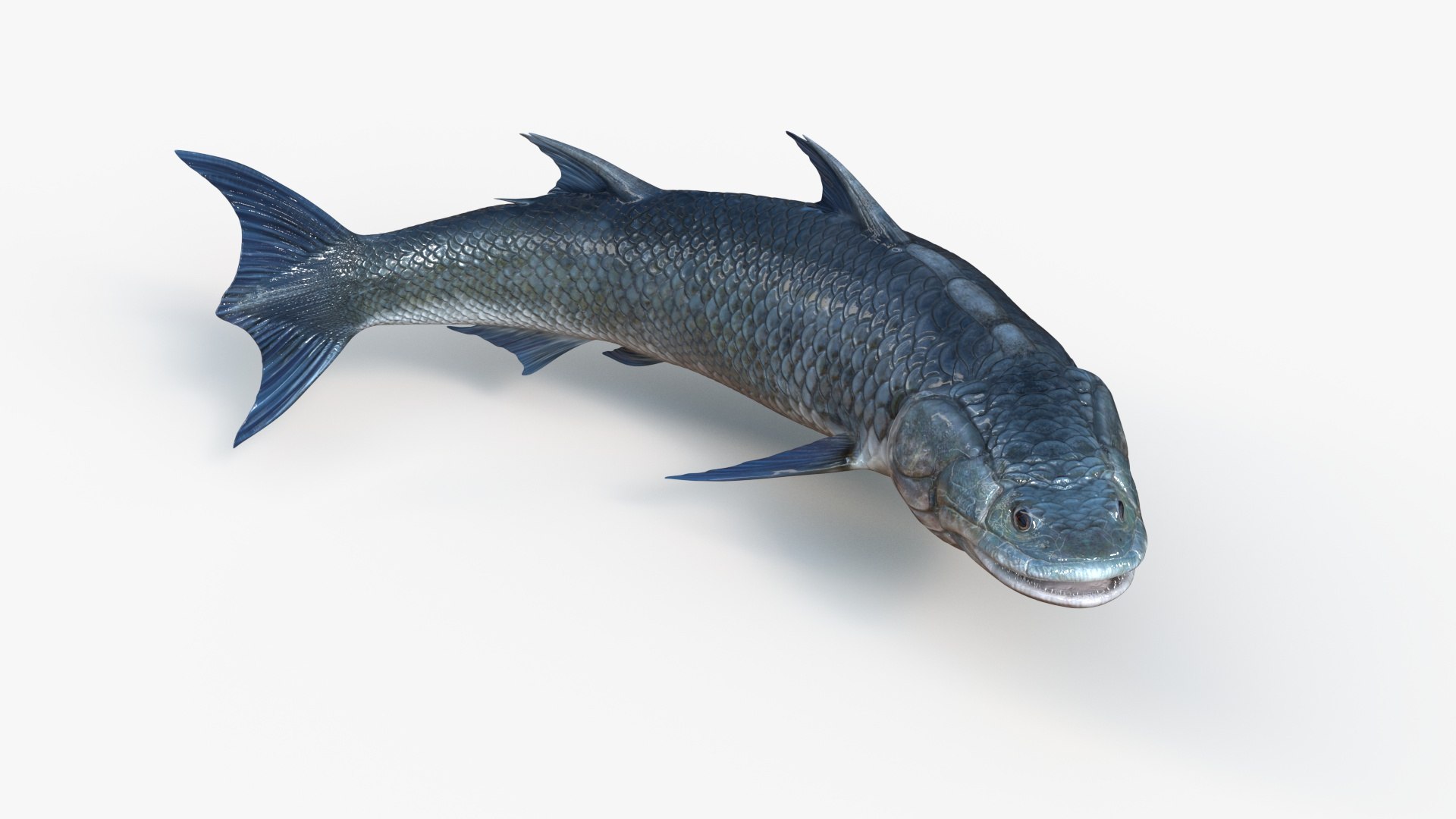 3D model Megamastax - TurboSquid 1730899