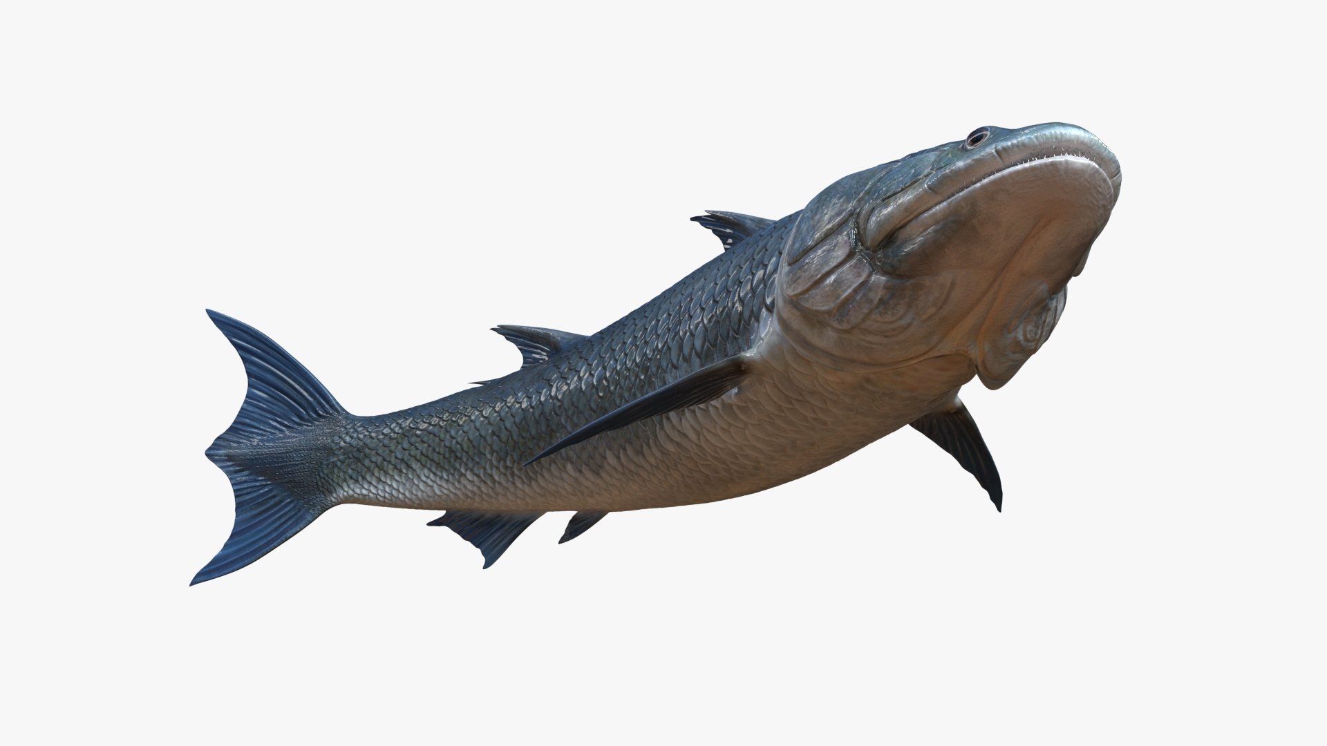 3D model Megamastax - TurboSquid 1730899