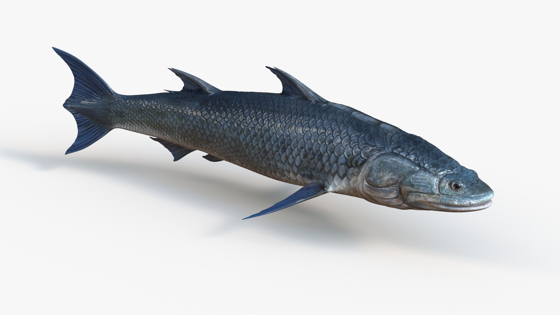 3D model Megamastax - TurboSquid 1730899