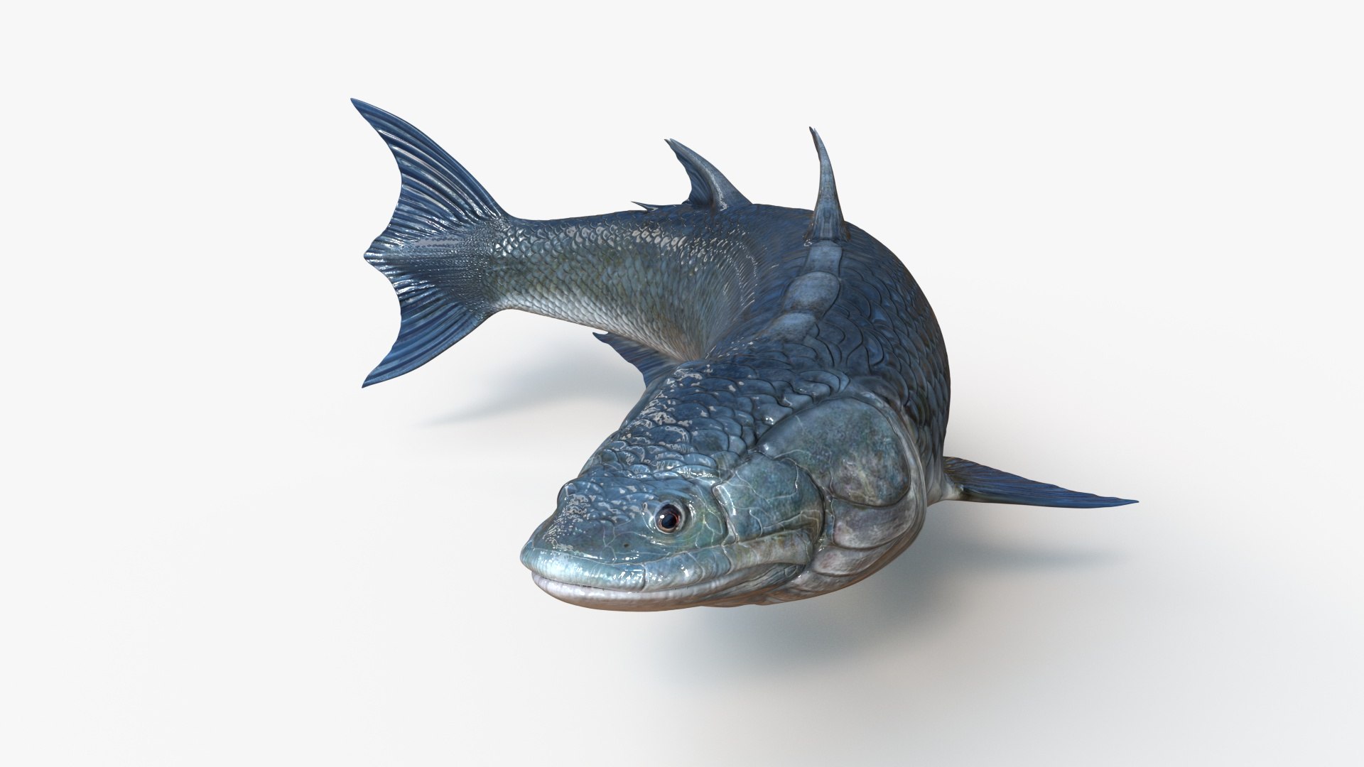 3D model Megamastax - TurboSquid 1730899