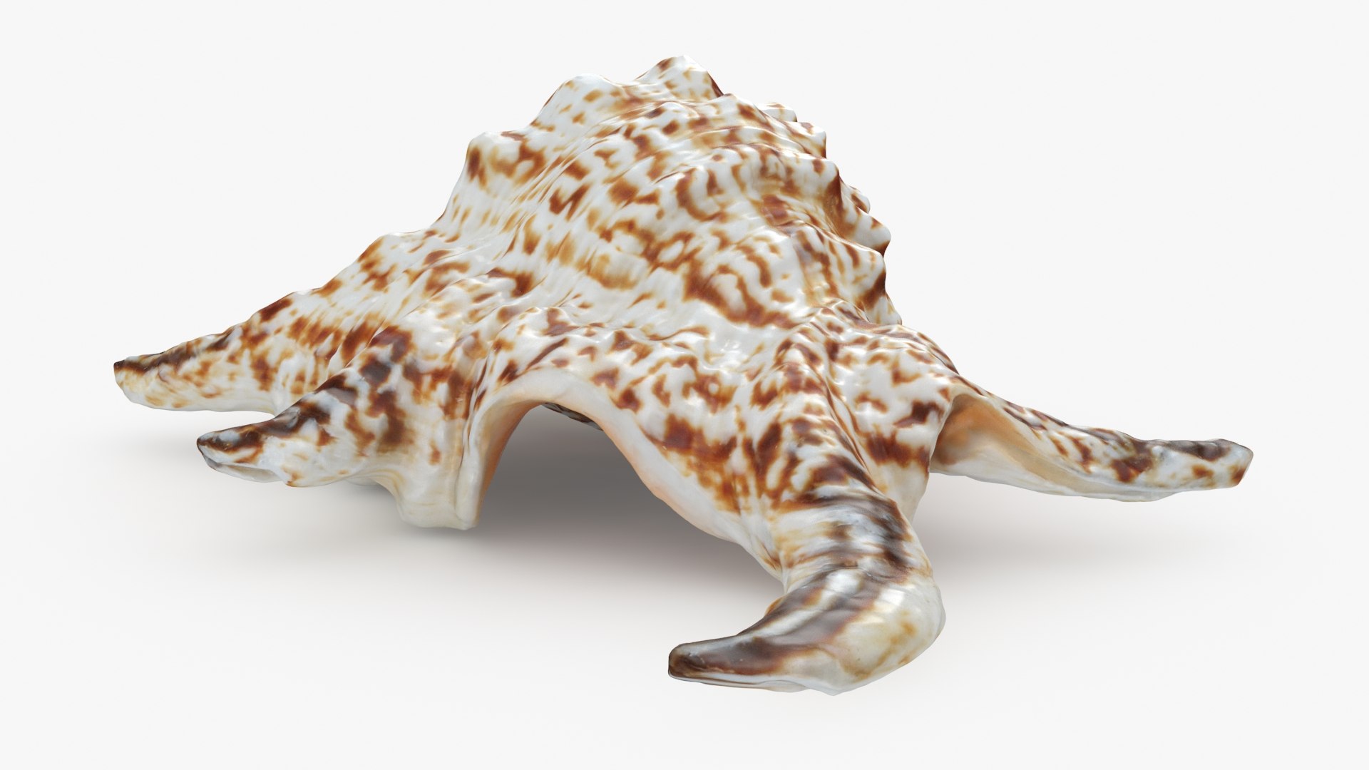 3D Harpago Arthriticus - TurboSquid 2219295