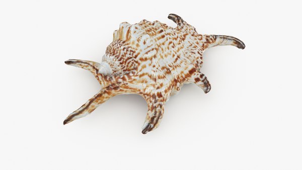 modelo 3d Harpago artrítico - TurboSquid 2219295