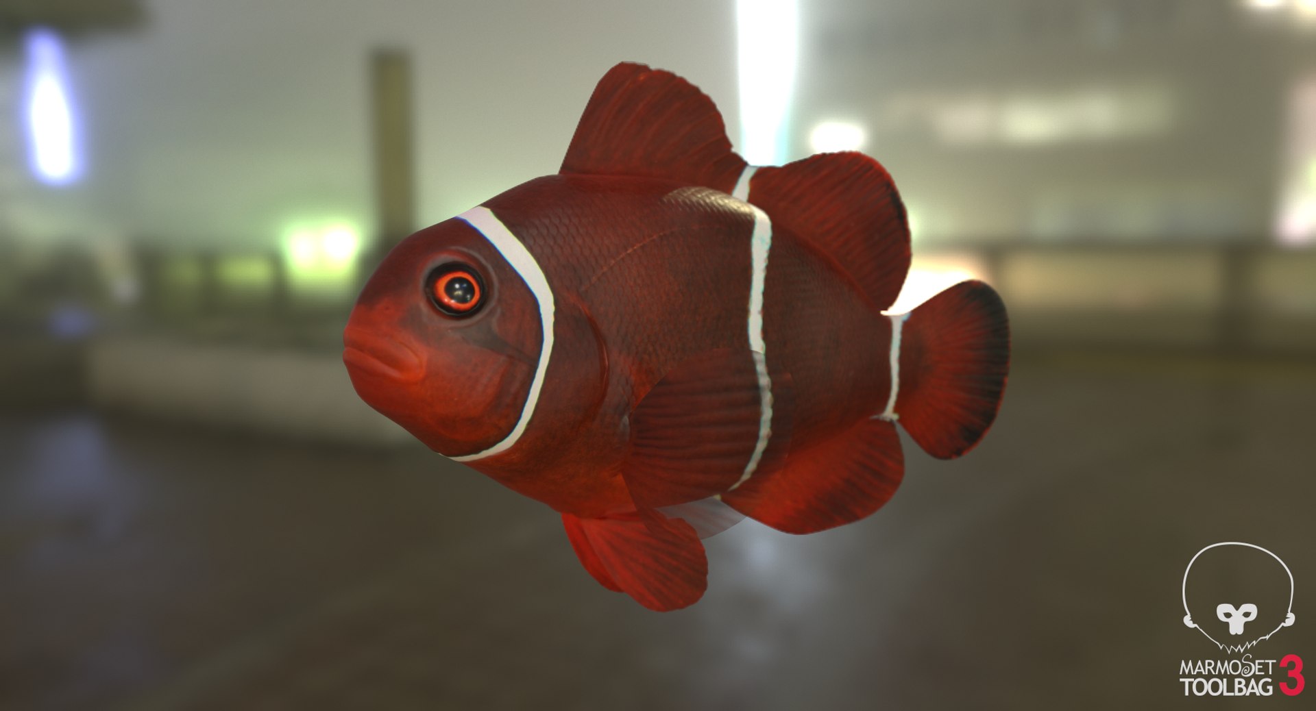 Maroon Clownfish Model - TurboSquid 1415310