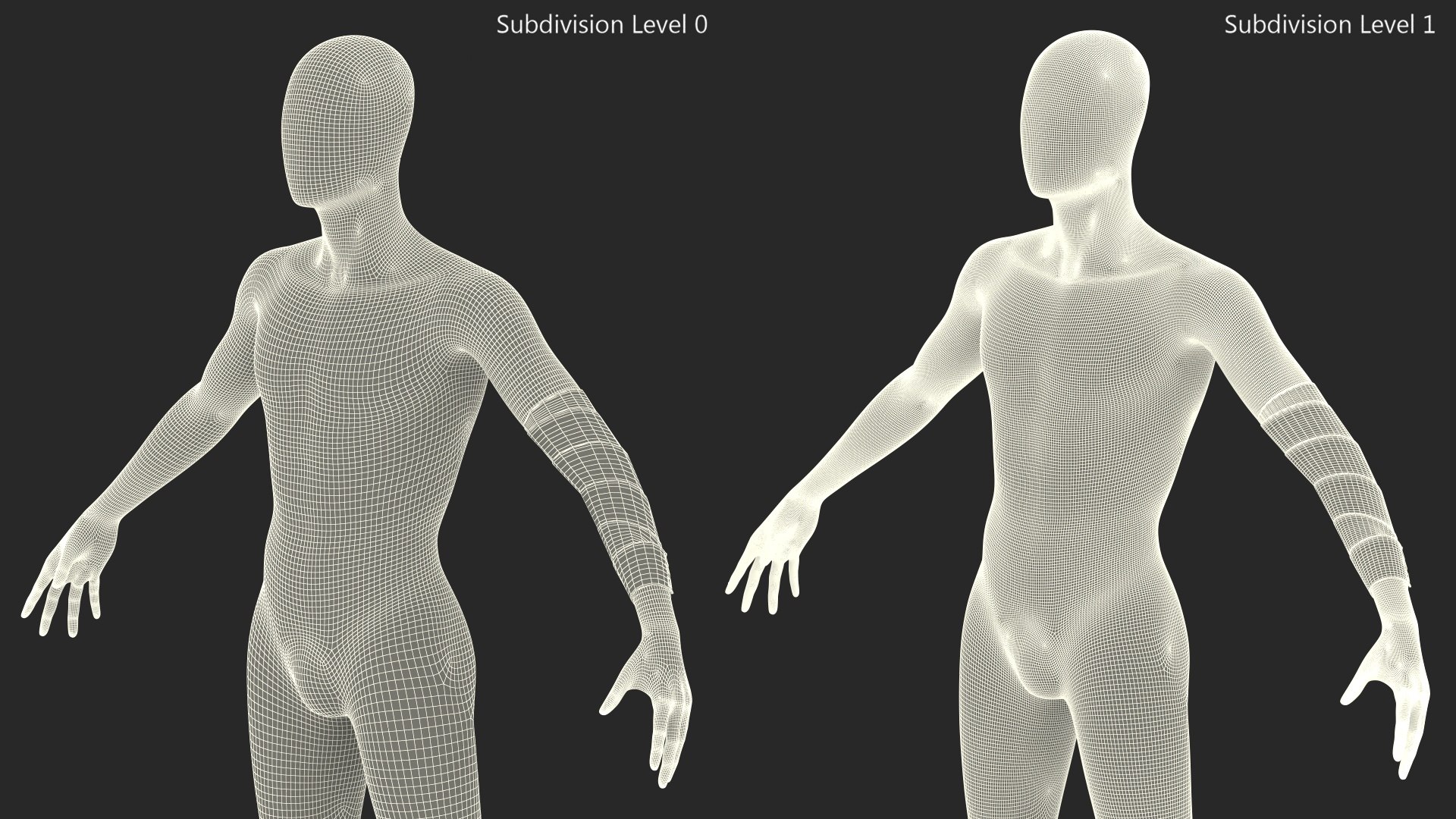 3D Elastic Bandage Beige With Clamps Wrapped Around Hand On Mannequin ...