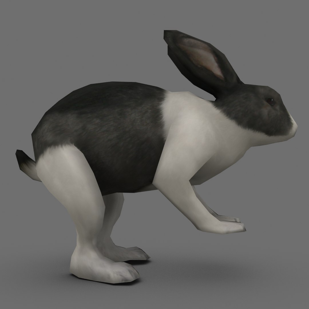 Rabbit Polygons 3d Model