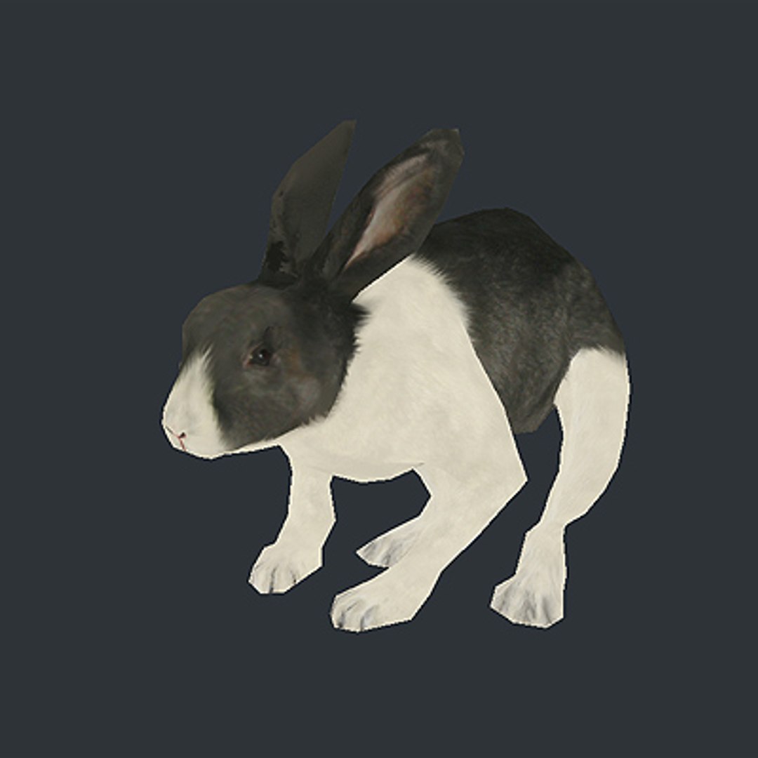 Rabbit Polygons 3d Model