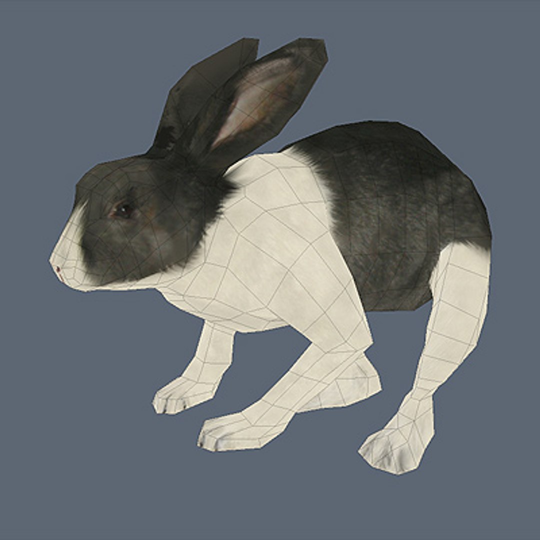 Rabbit Polygons 3d Model
