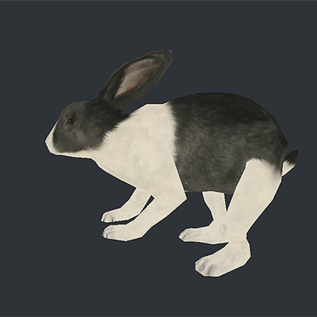 Rabbit Polygons 3d Model