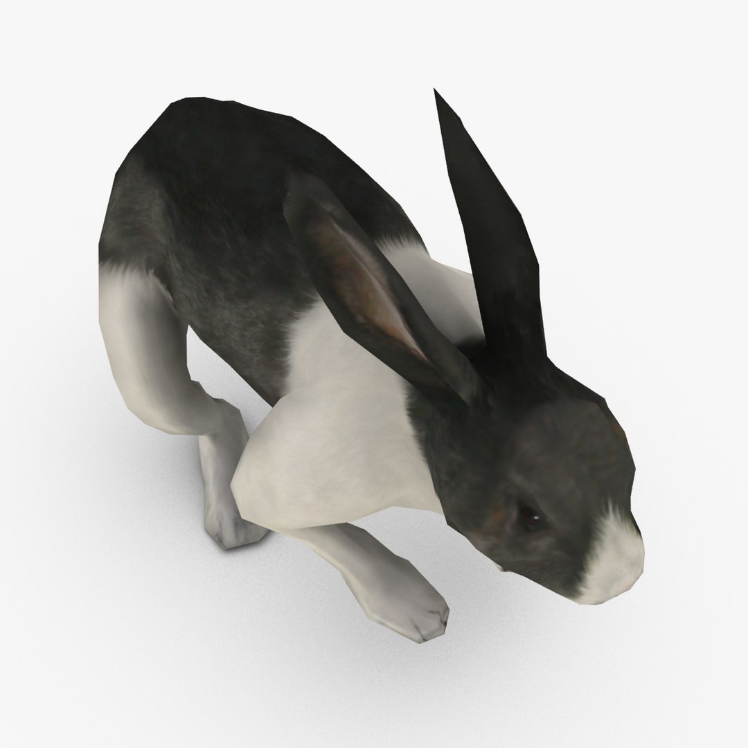 Rabbit Polygons 3d Model
