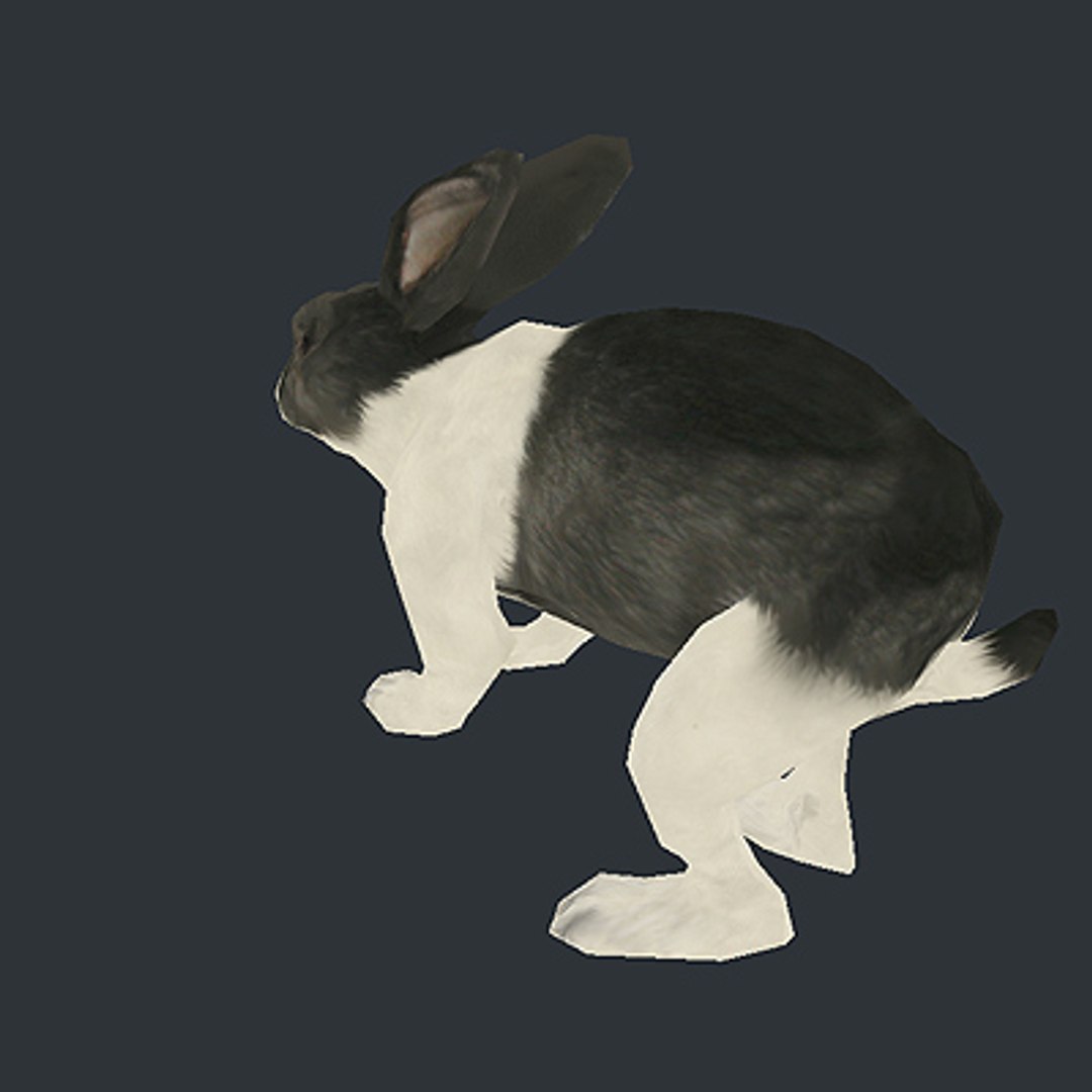 Rabbit Polygons 3d Model