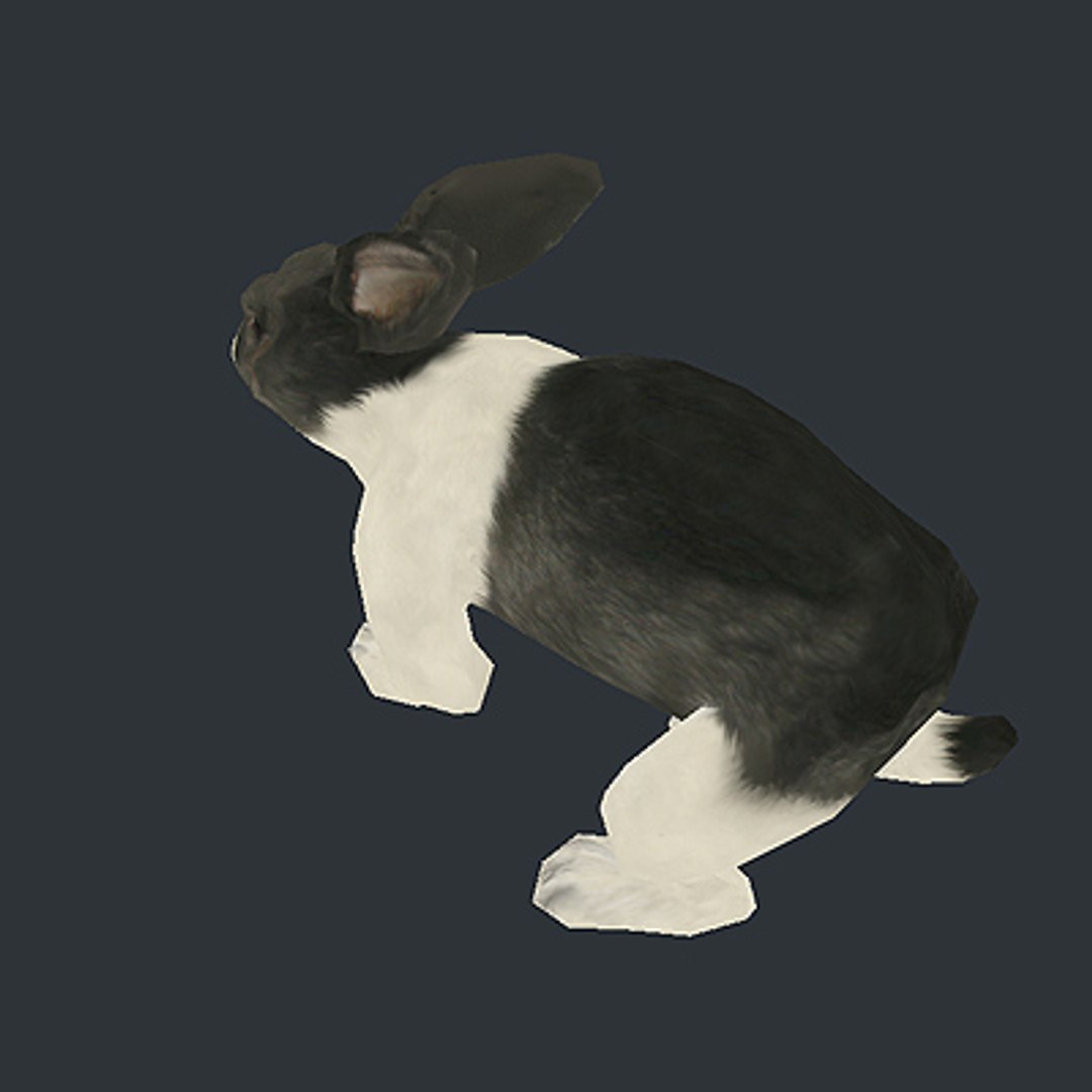 Rabbit Polygons 3d Model
