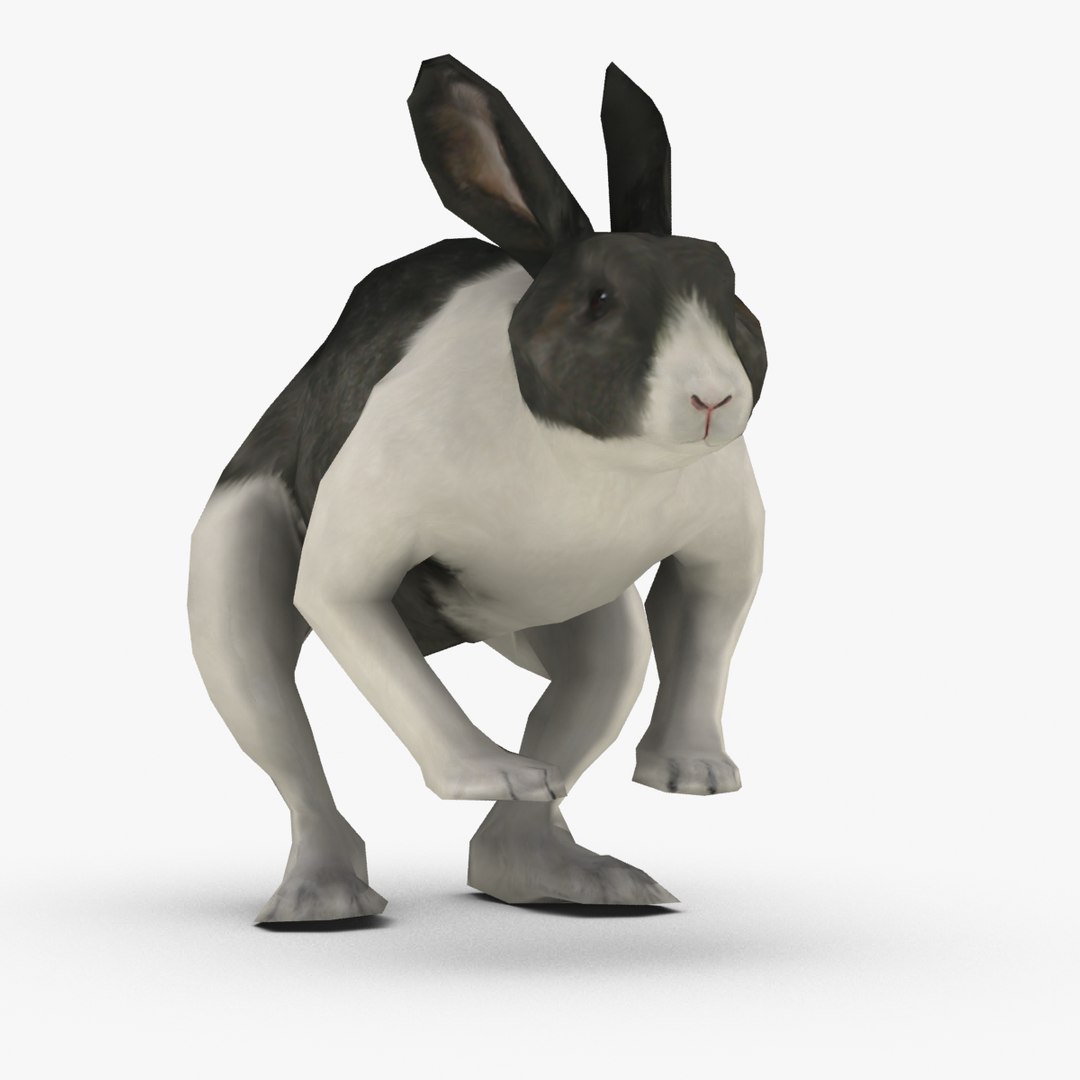 Rabbit Polygons 3d Model