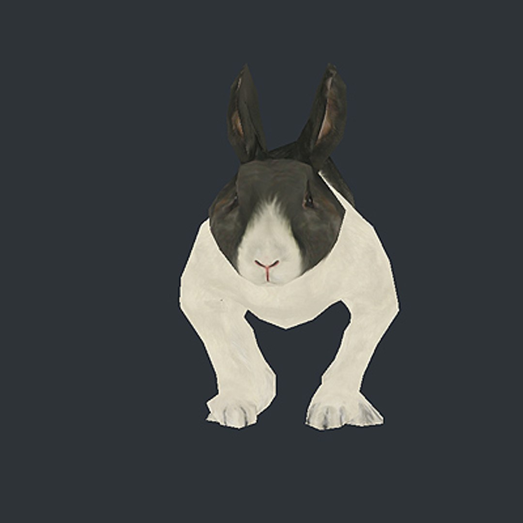 Rabbit Polygons 3d Model