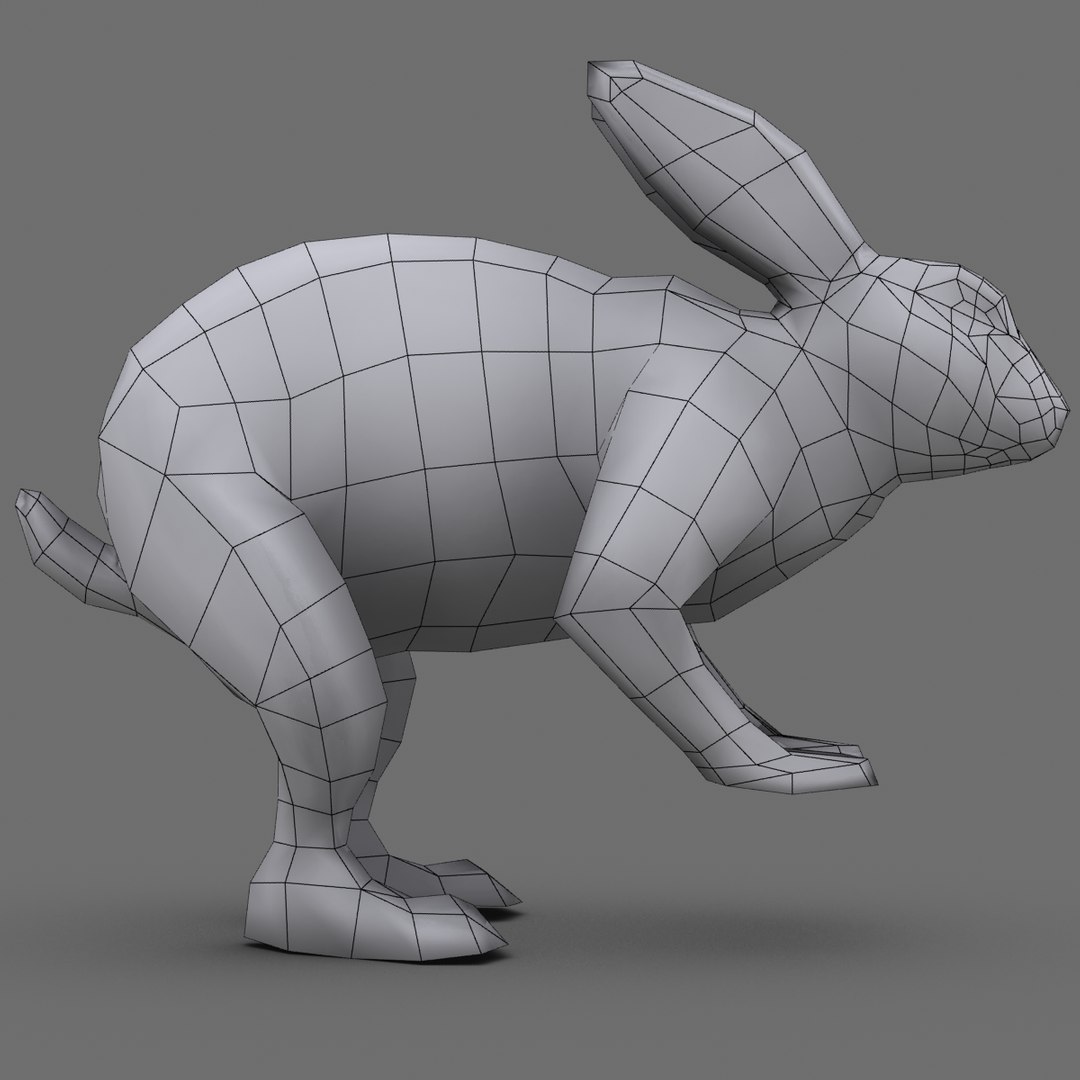 Rabbit Polygons 3d Model
