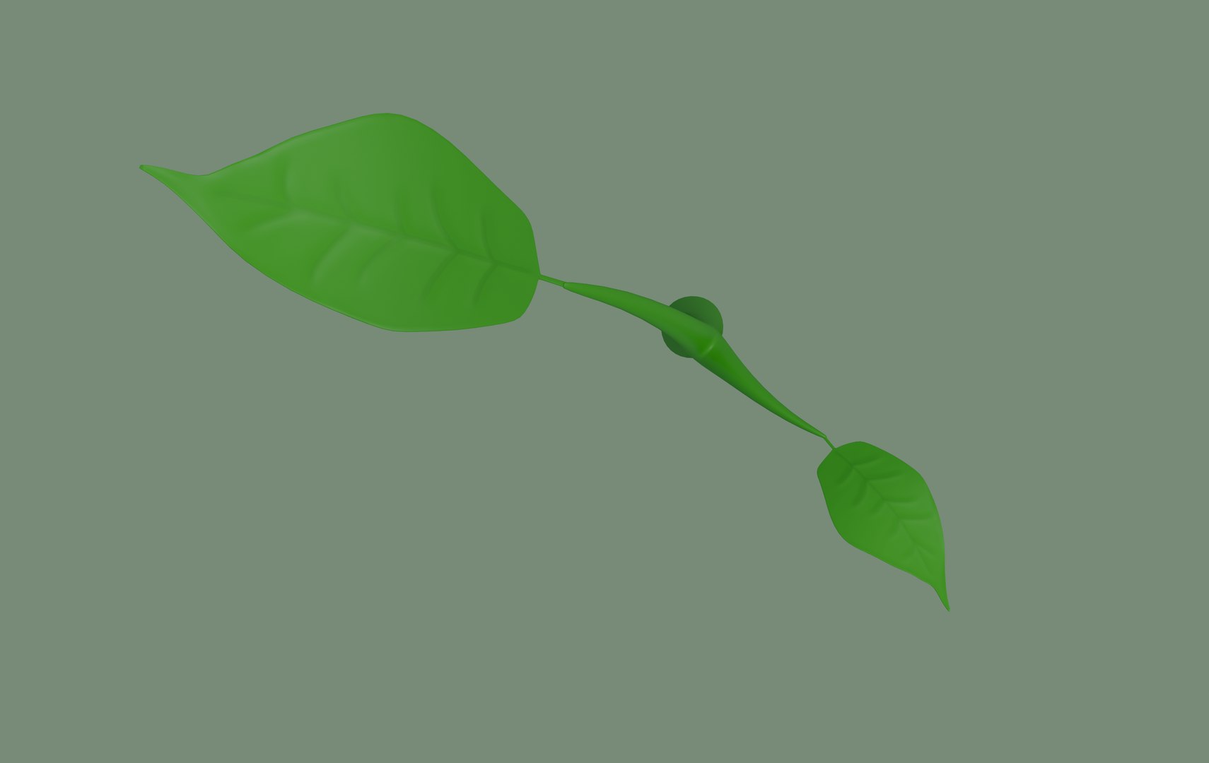 Green Plant 3D Model - TurboSquid 1664119