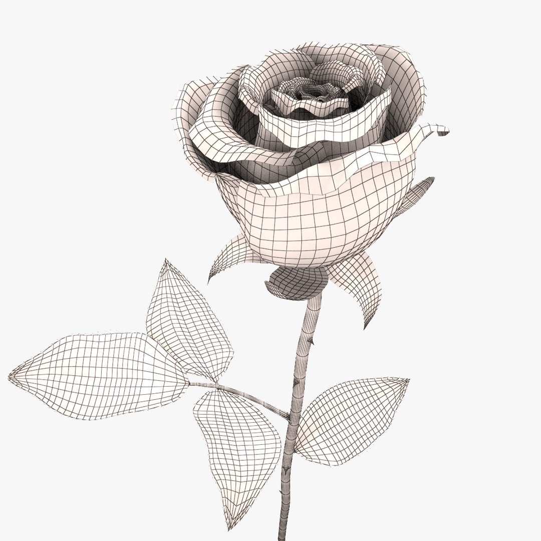 3d Model Rose Modeled Leaf