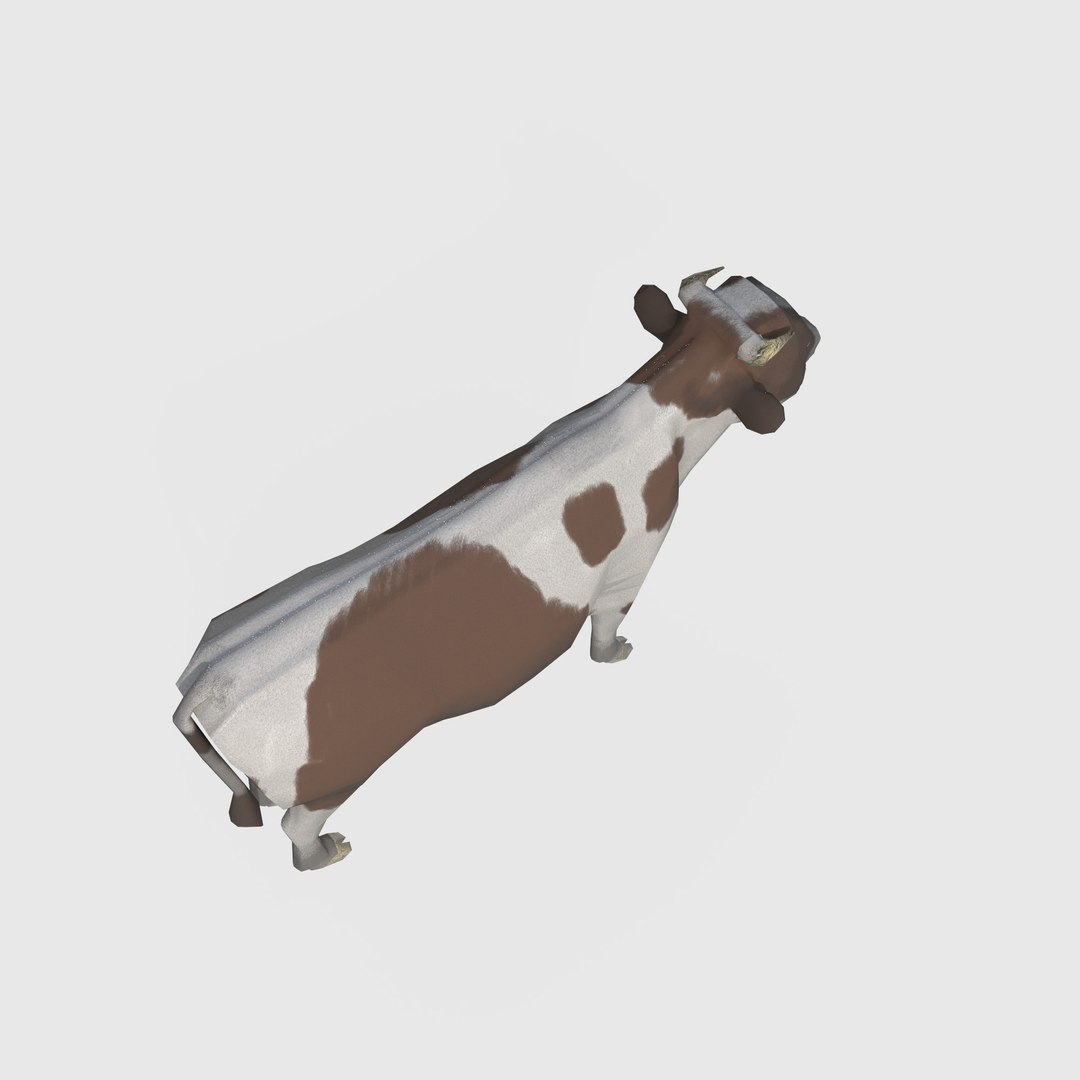Brown And White Cow 3D Model - TurboSquid 1954048