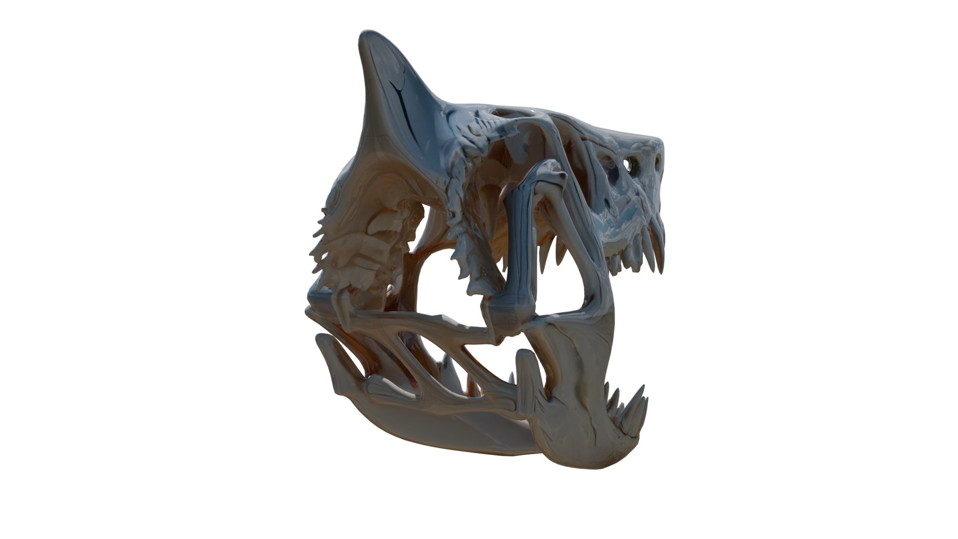 3D Realistic 3D Shark Skull Model UV Unwrapped Single Mesh OBJ FBX ...