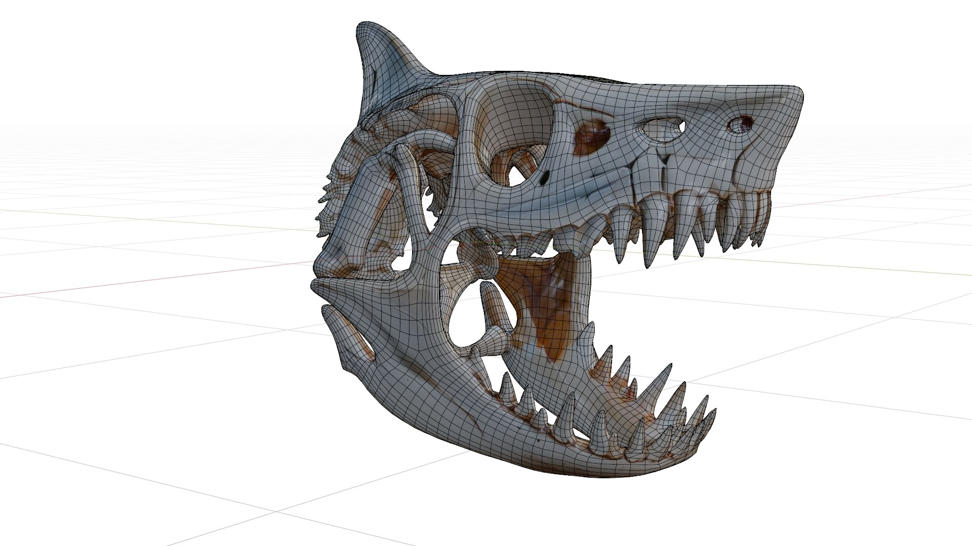 3D Realistic 3D Shark Skull Model UV Unwrapped Single Mesh OBJ FBX ...