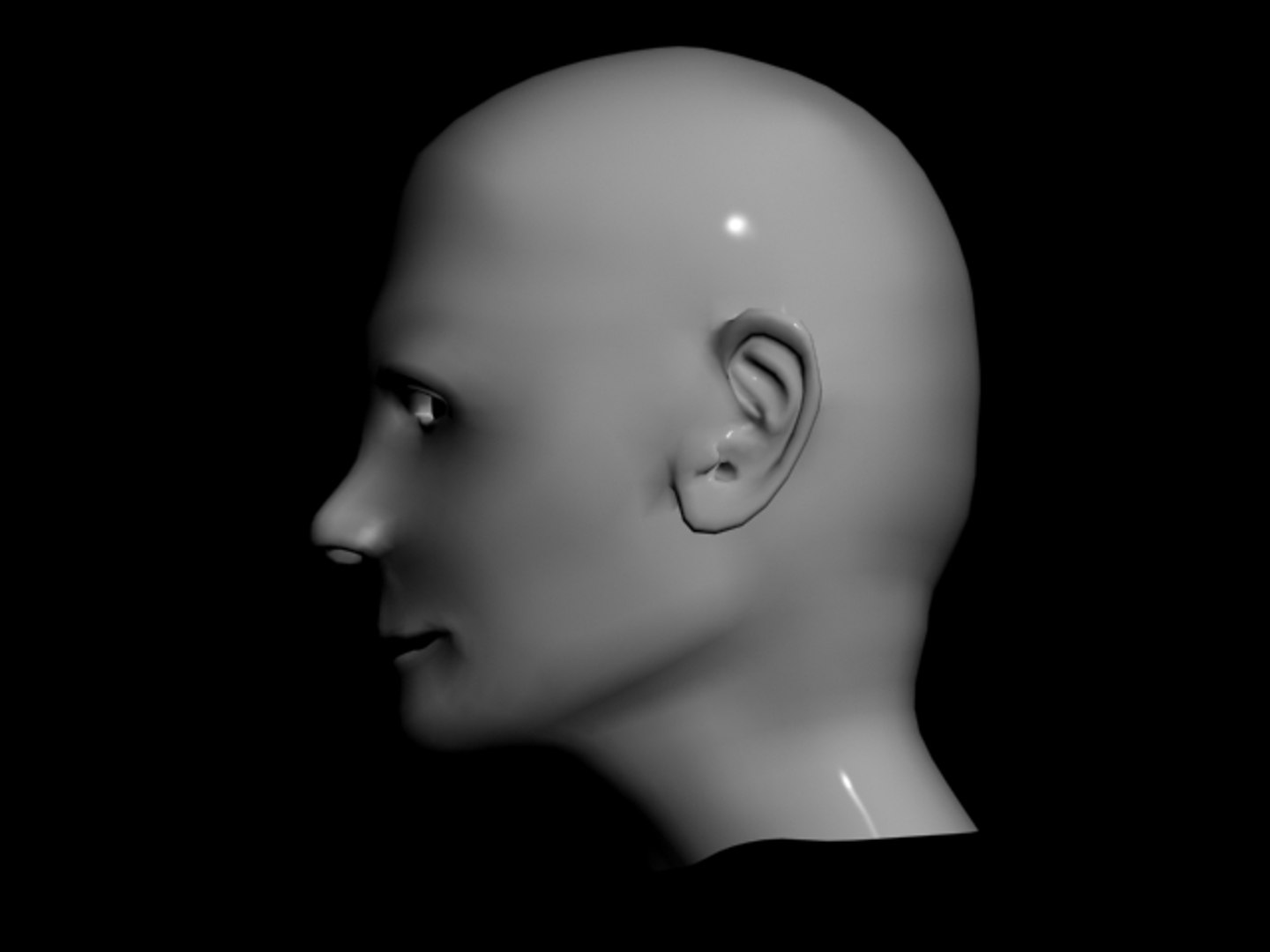 Free Male Head Base 3d Model
