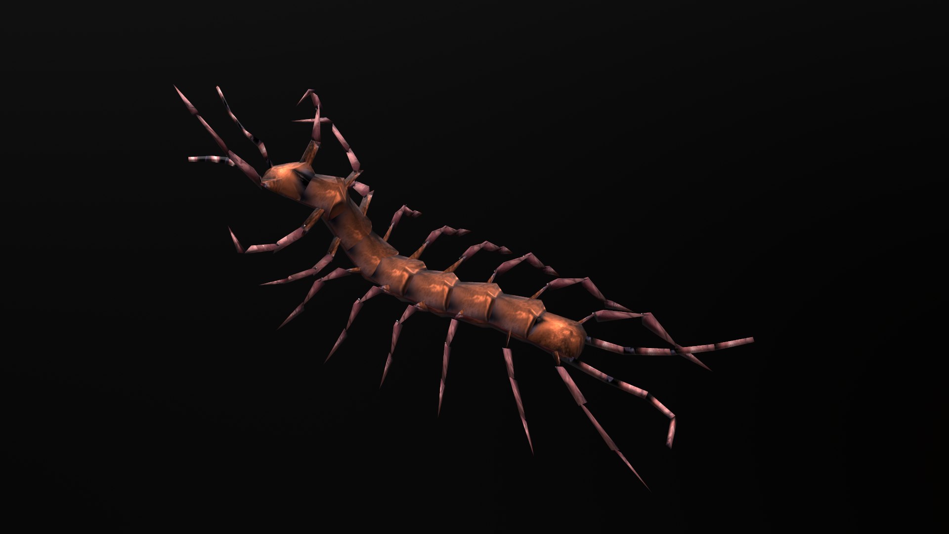 3D Animated centipede model - TurboSquid 2155417