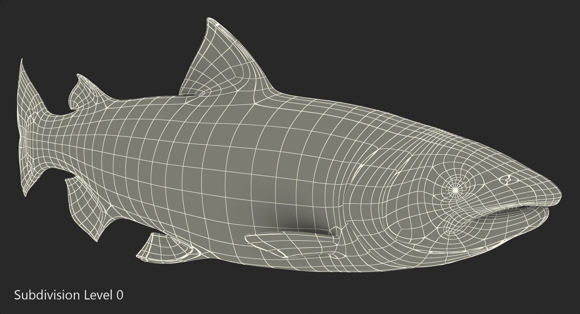 Leaping Atlantic Salmon Fish 3D Model - TurboSquid 1436965