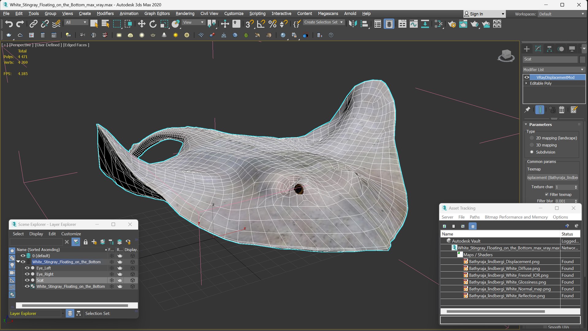 White Stingray Floating On The Bottom Model - TurboSquid 2270256