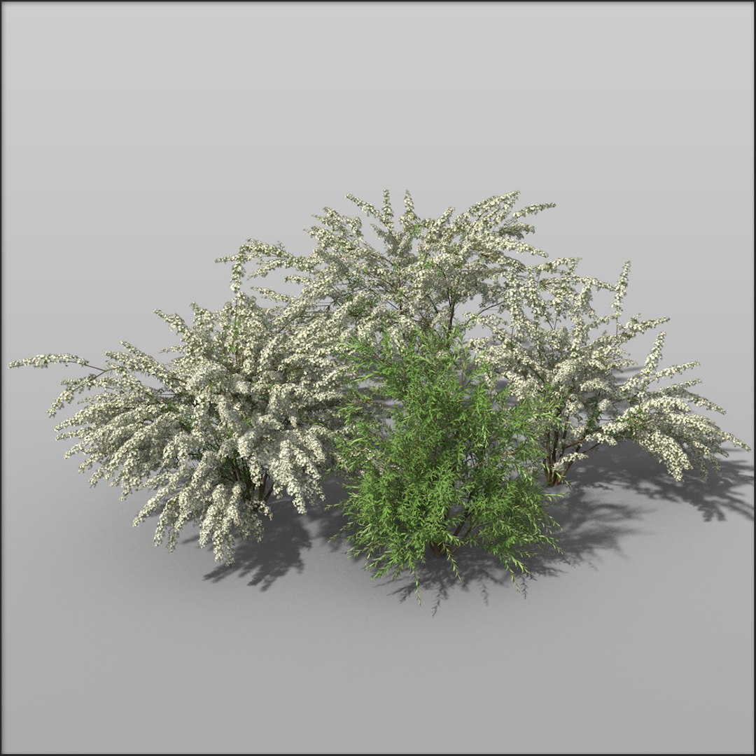 Grefsheim Spirea Obj