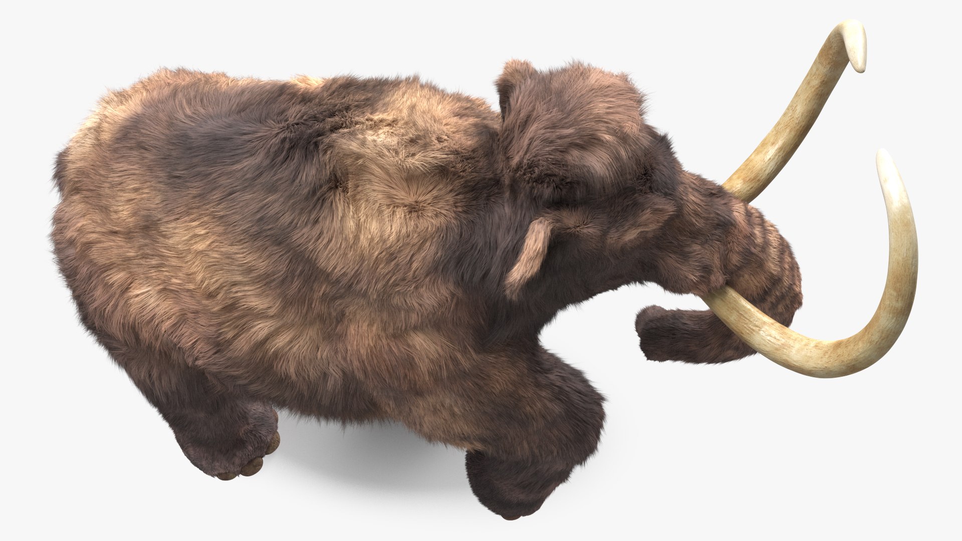 Mammoth Adult with Skeleton Collection 3D - TurboSquid 1866110