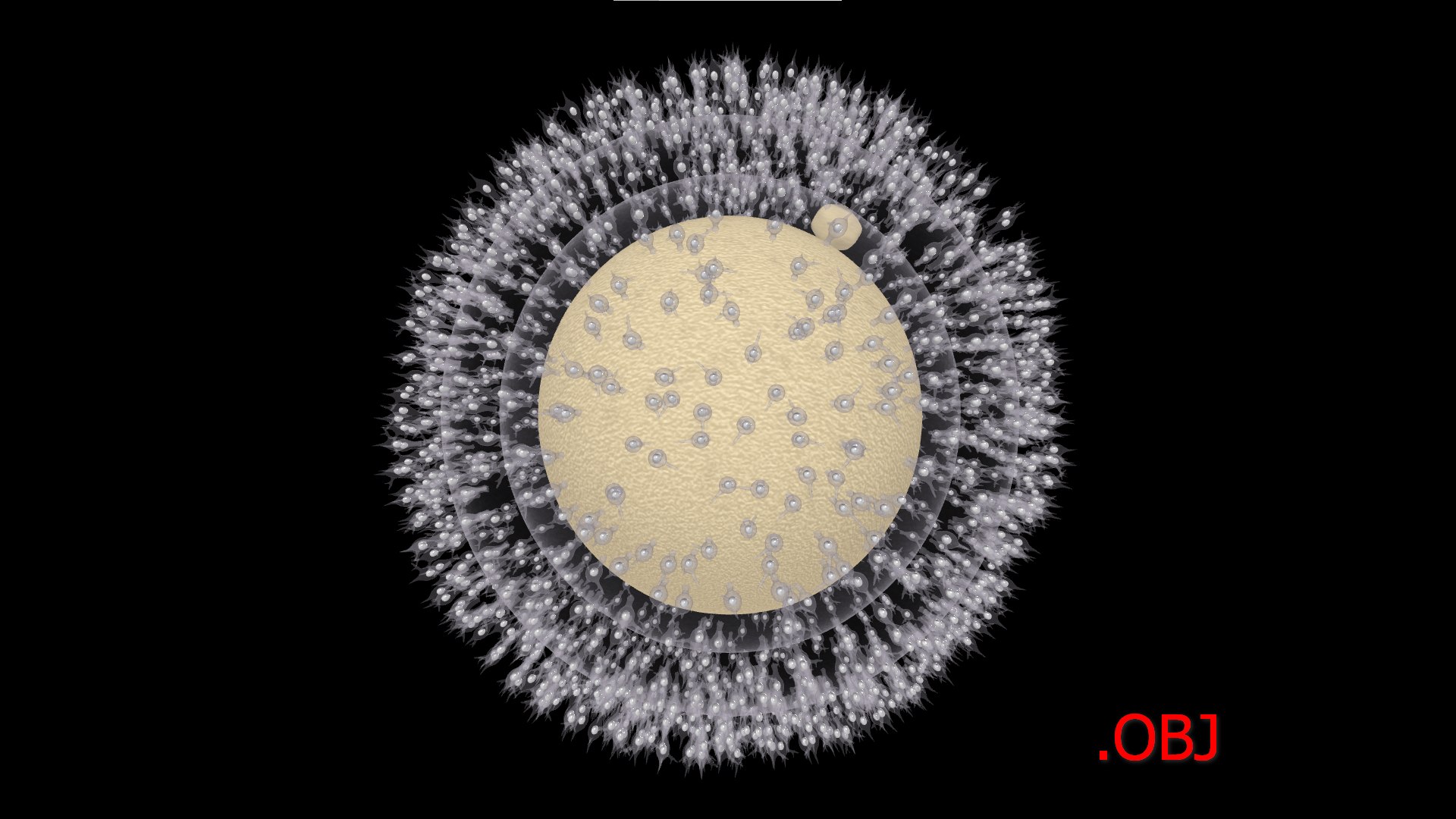3D Model Human Egg Cell - TurboSquid 1970381