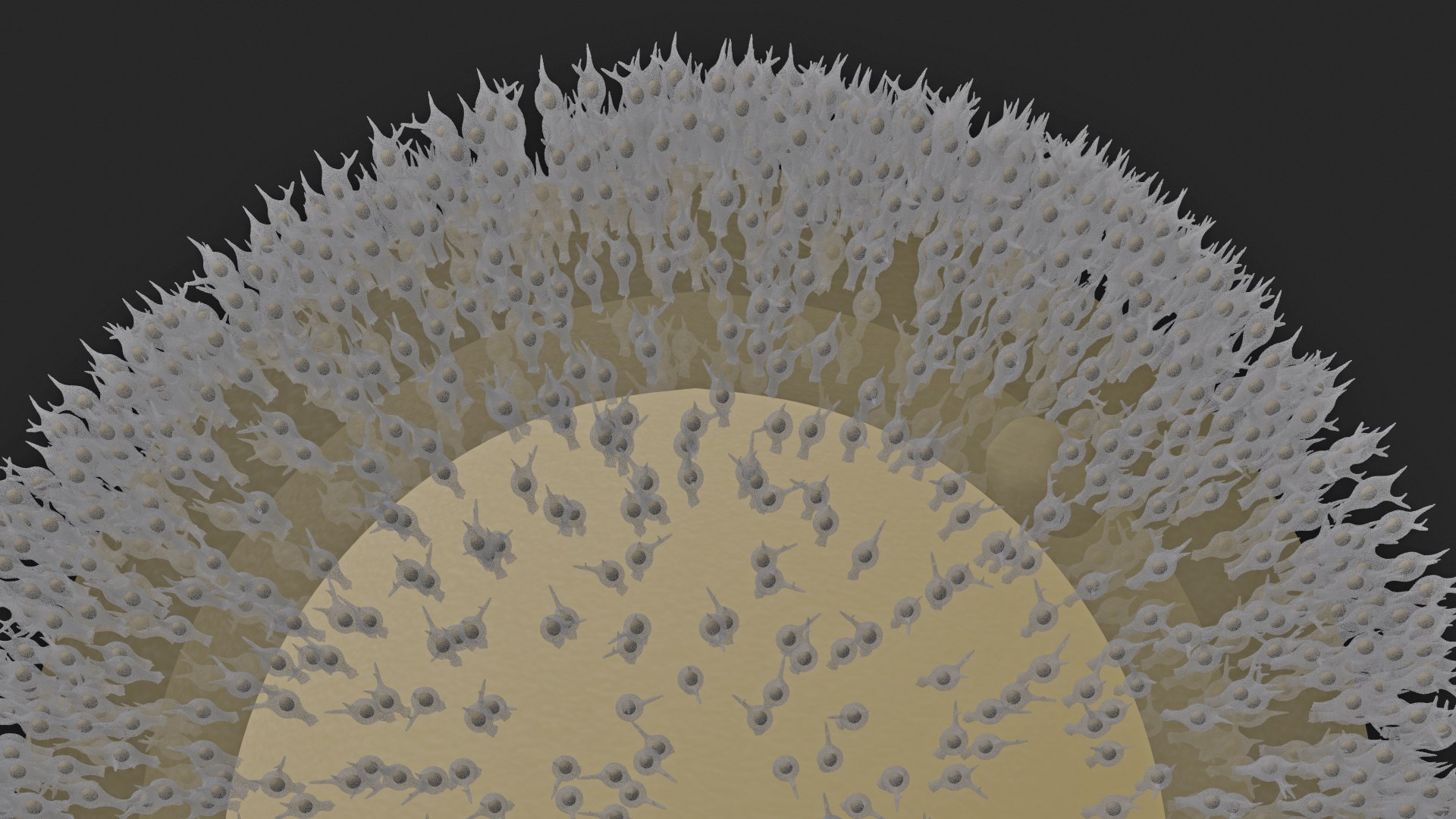 3D Model Human Egg Cell - TurboSquid 1970381