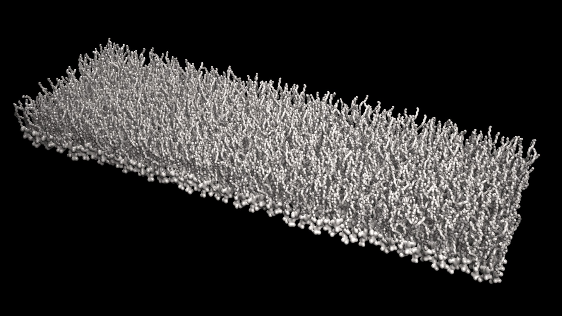 3D Model Cell Membrane Lipid Bilayer - TurboSquid 2399683