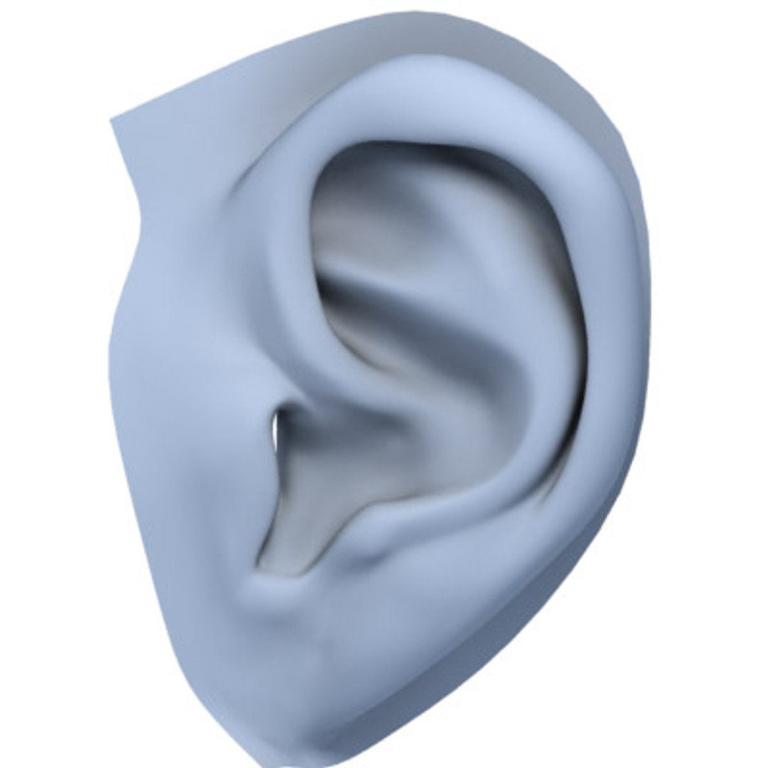 Ears Character Human 3d Model