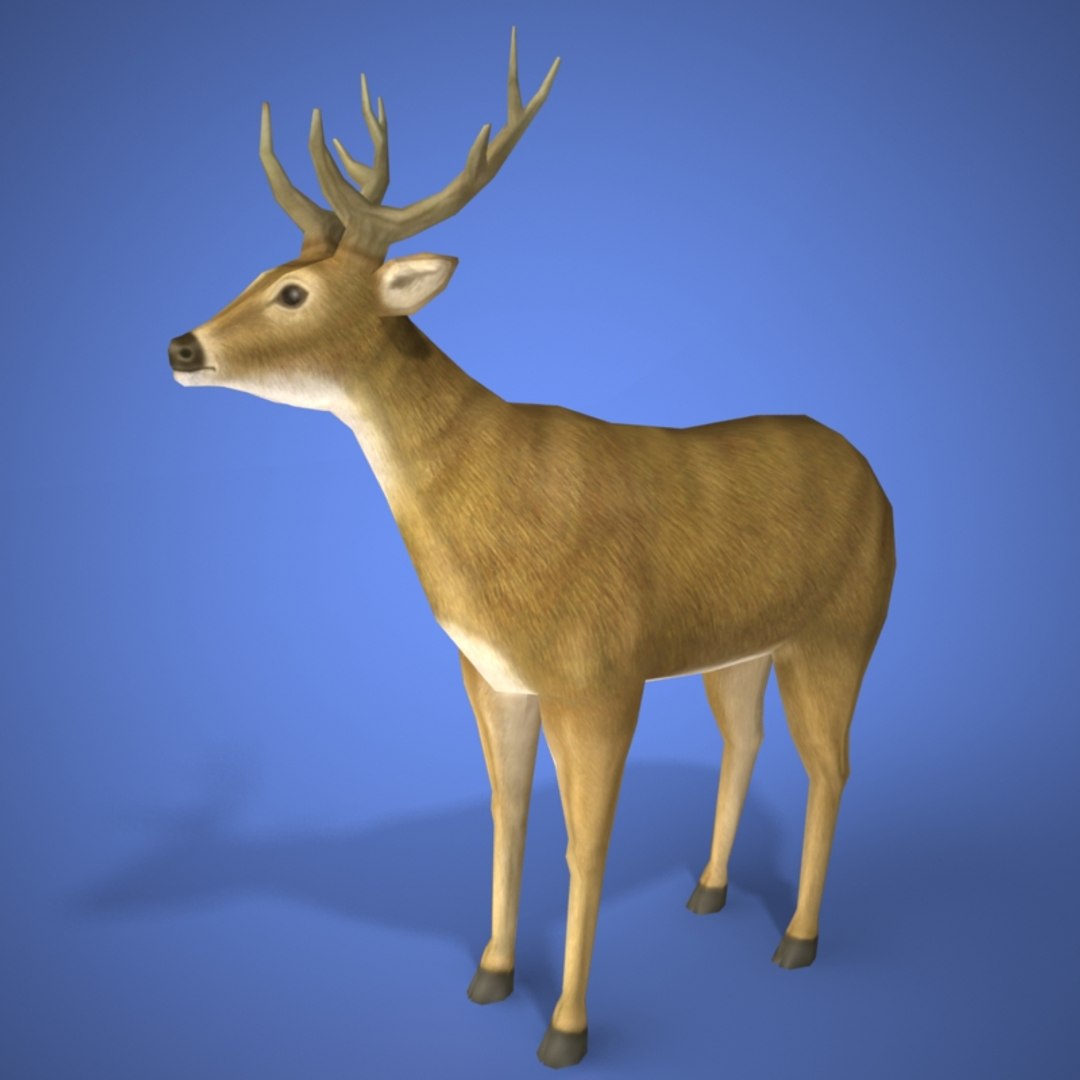 Real Time Deer 3d Model