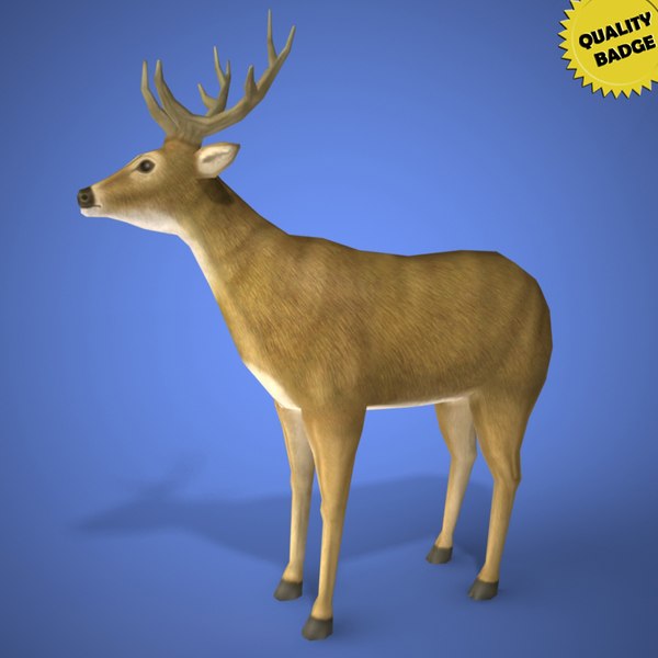 Free 3D Deer Models | TurboSquid