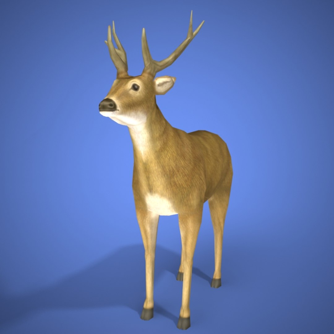 Real Time Deer 3d Model