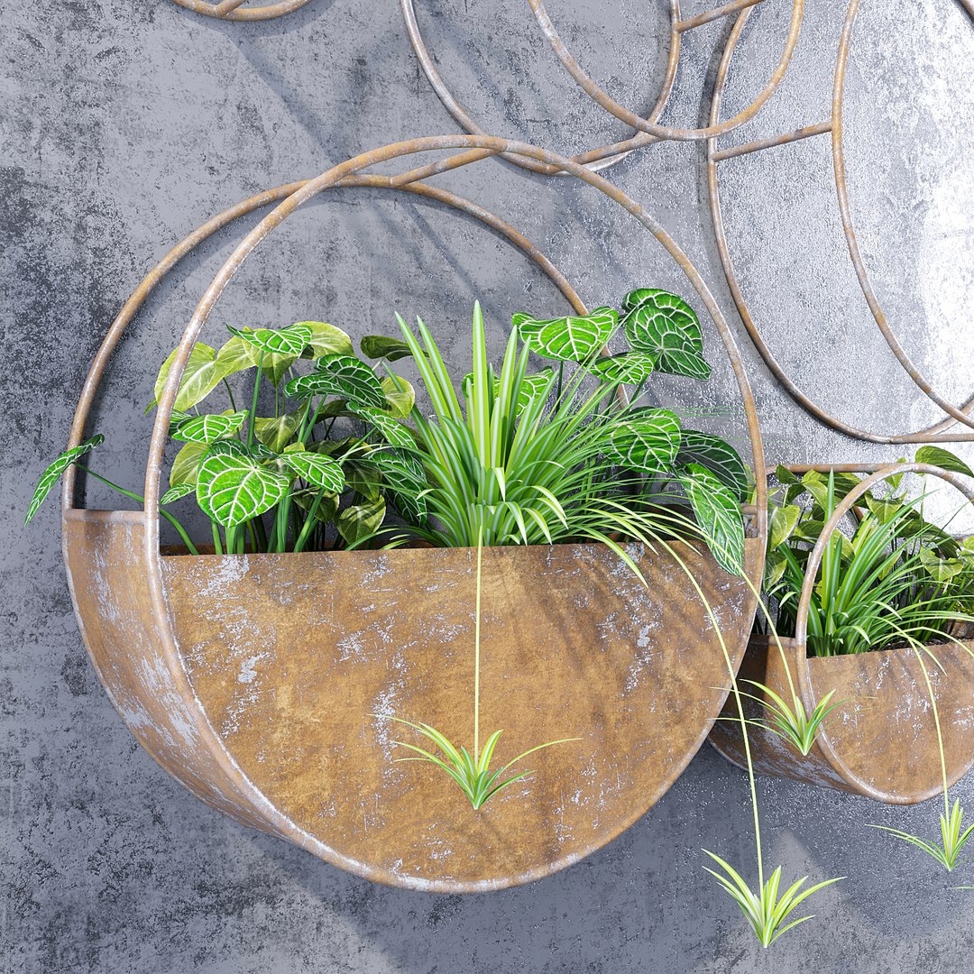 3D Model Circle Shelves - TurboSquid 1230381